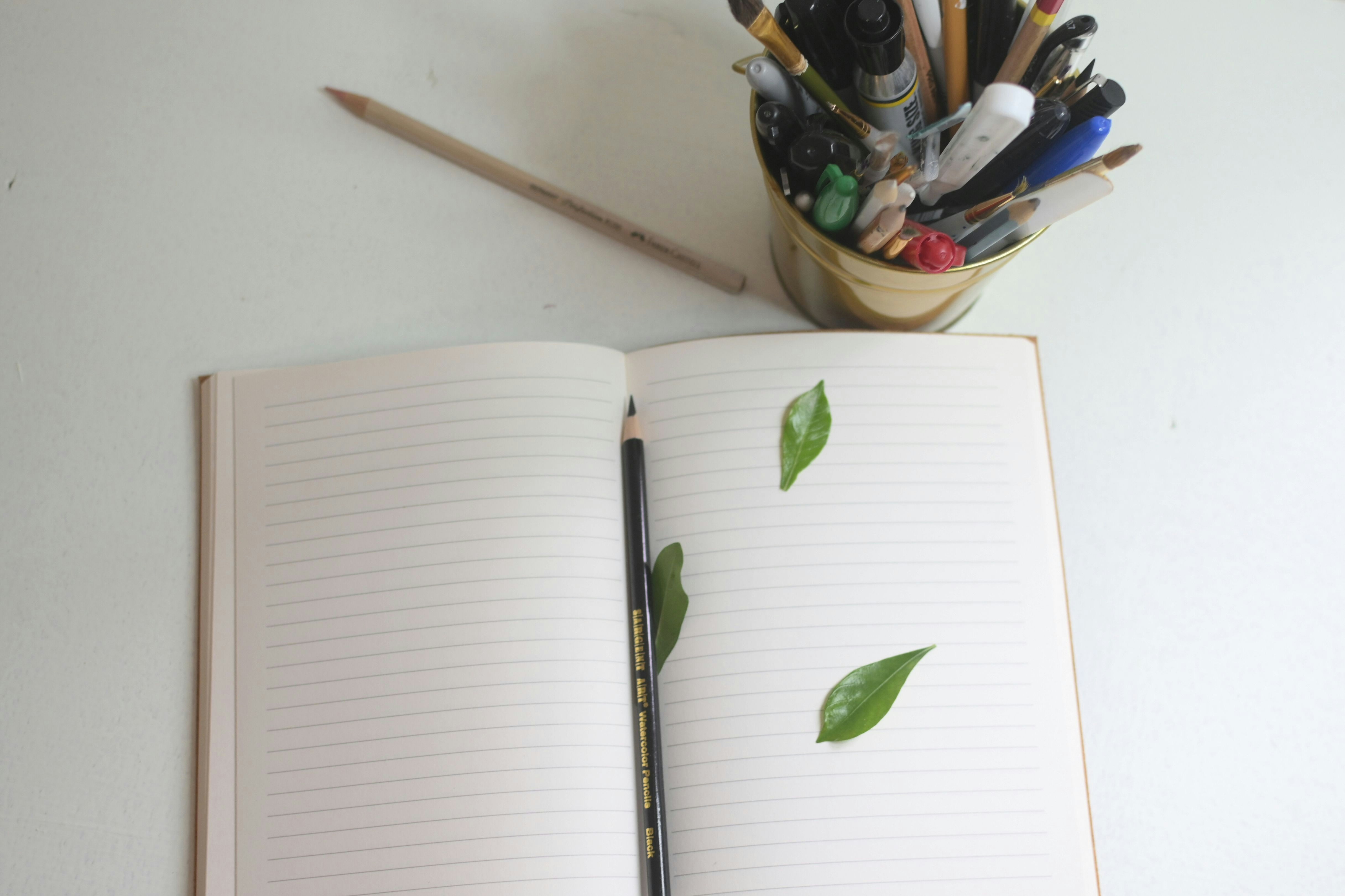An open notebook with pencils and markers photo – Free Art Image on ...