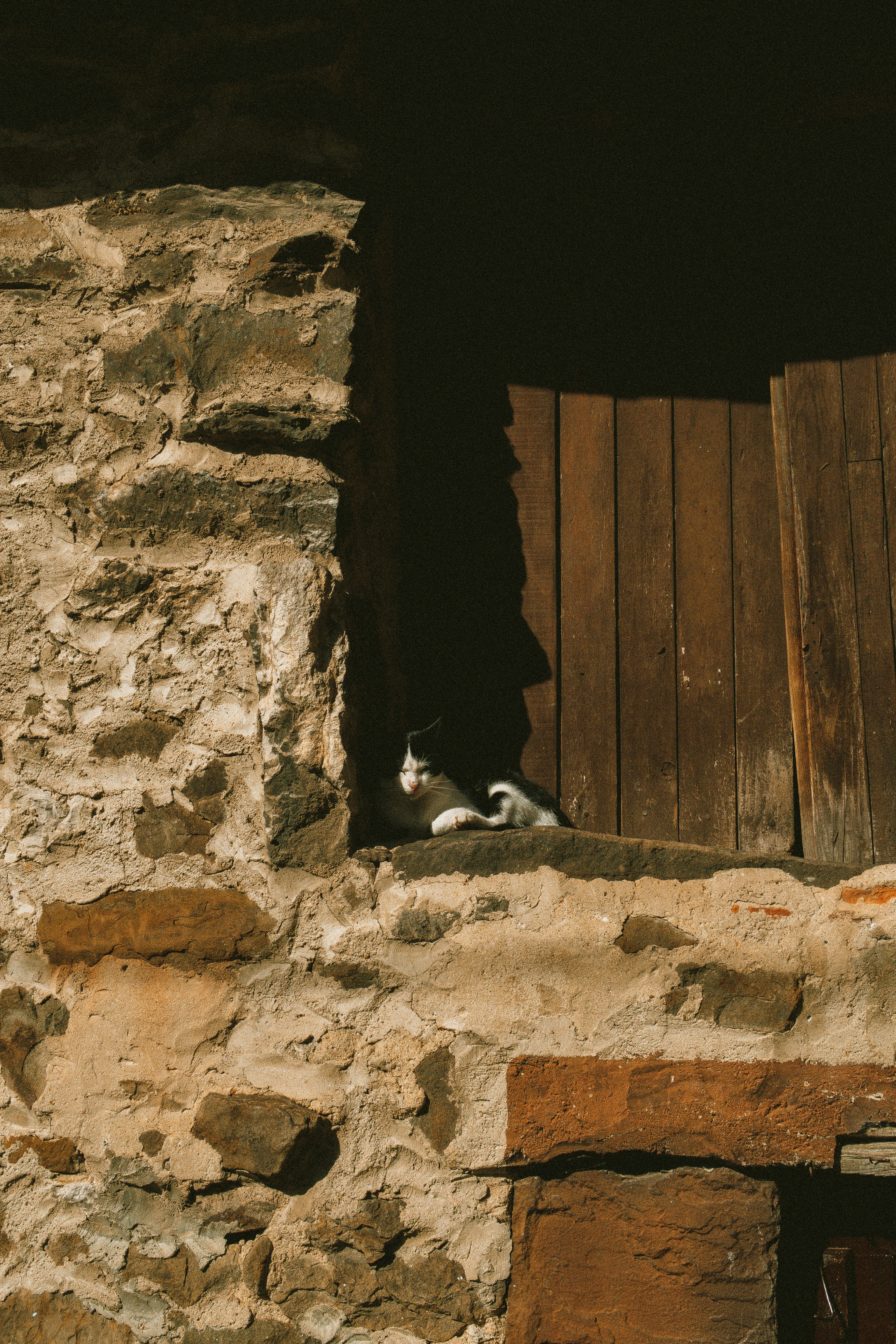 Photo by Keith Mapeki with Canon PowerShot G7 X Mark II