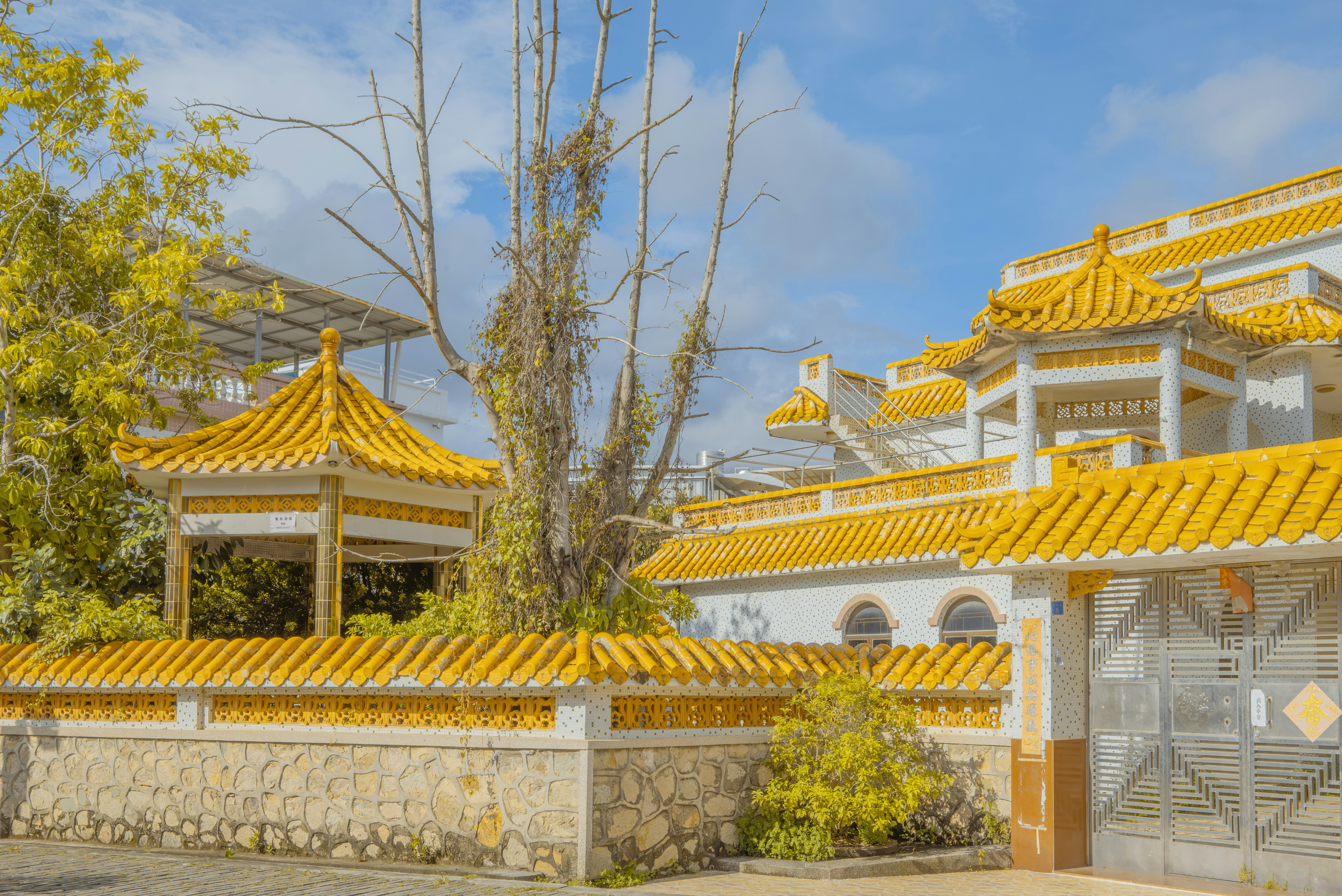 Photo by wang binghua with Nikon Z5