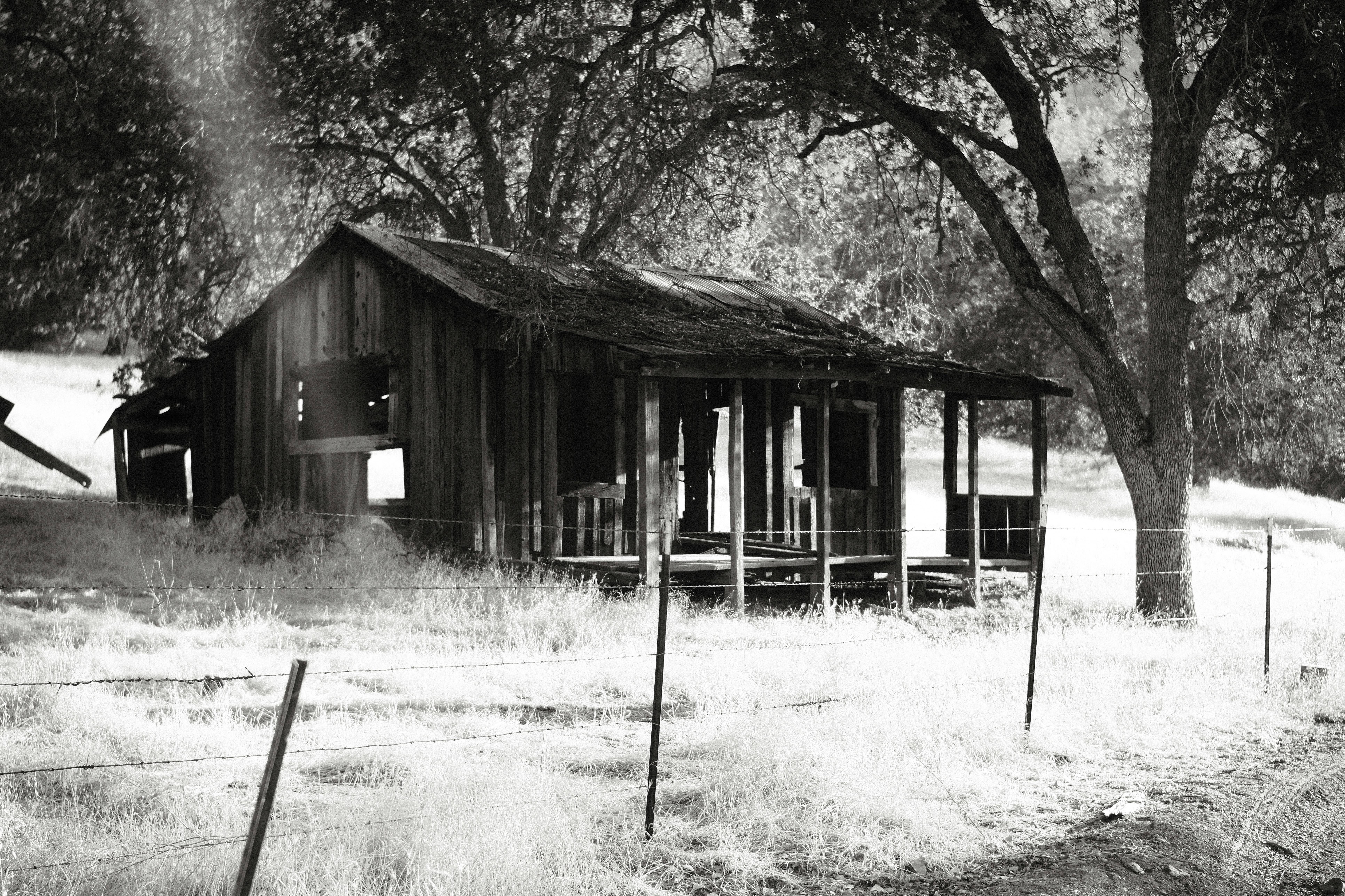 Rust Ridge Ranch Nude Pictures | Download Free Images on Unsplash