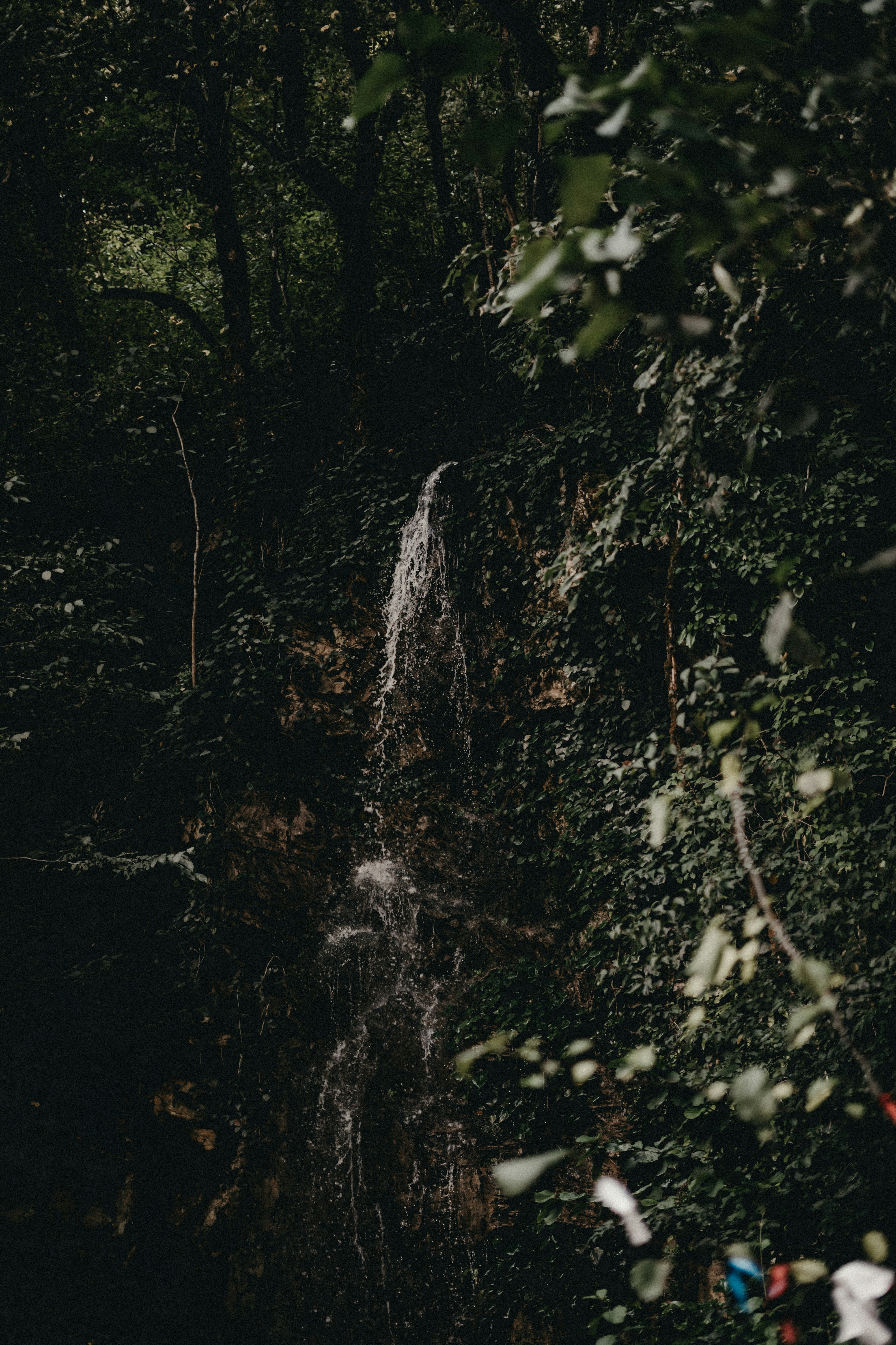 A small waterfall in the middle of a forest photo – Free Rosa khutor ...
