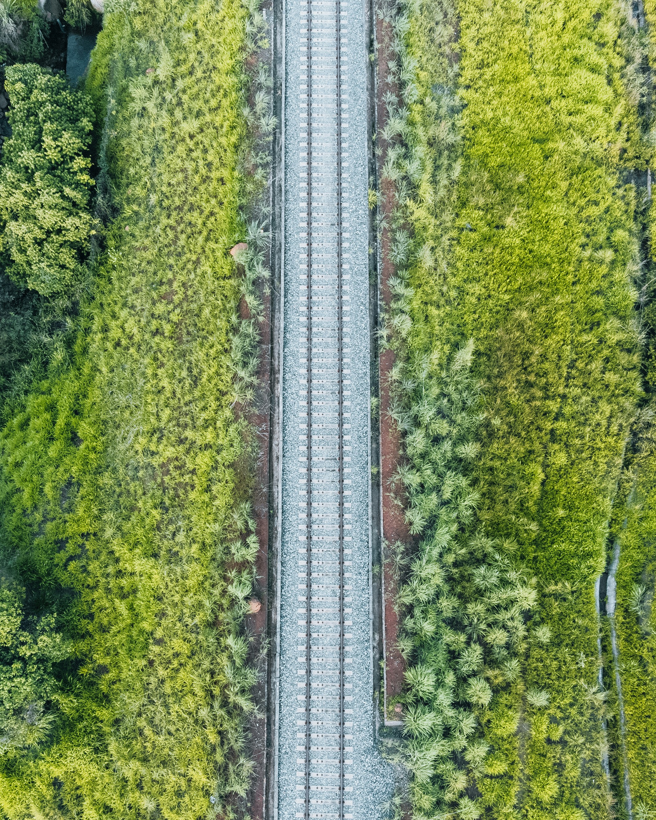 Aerial photograph of parallel railway tracks slicing through a lush forest, seen from above, emphasizing symmetry and depth.