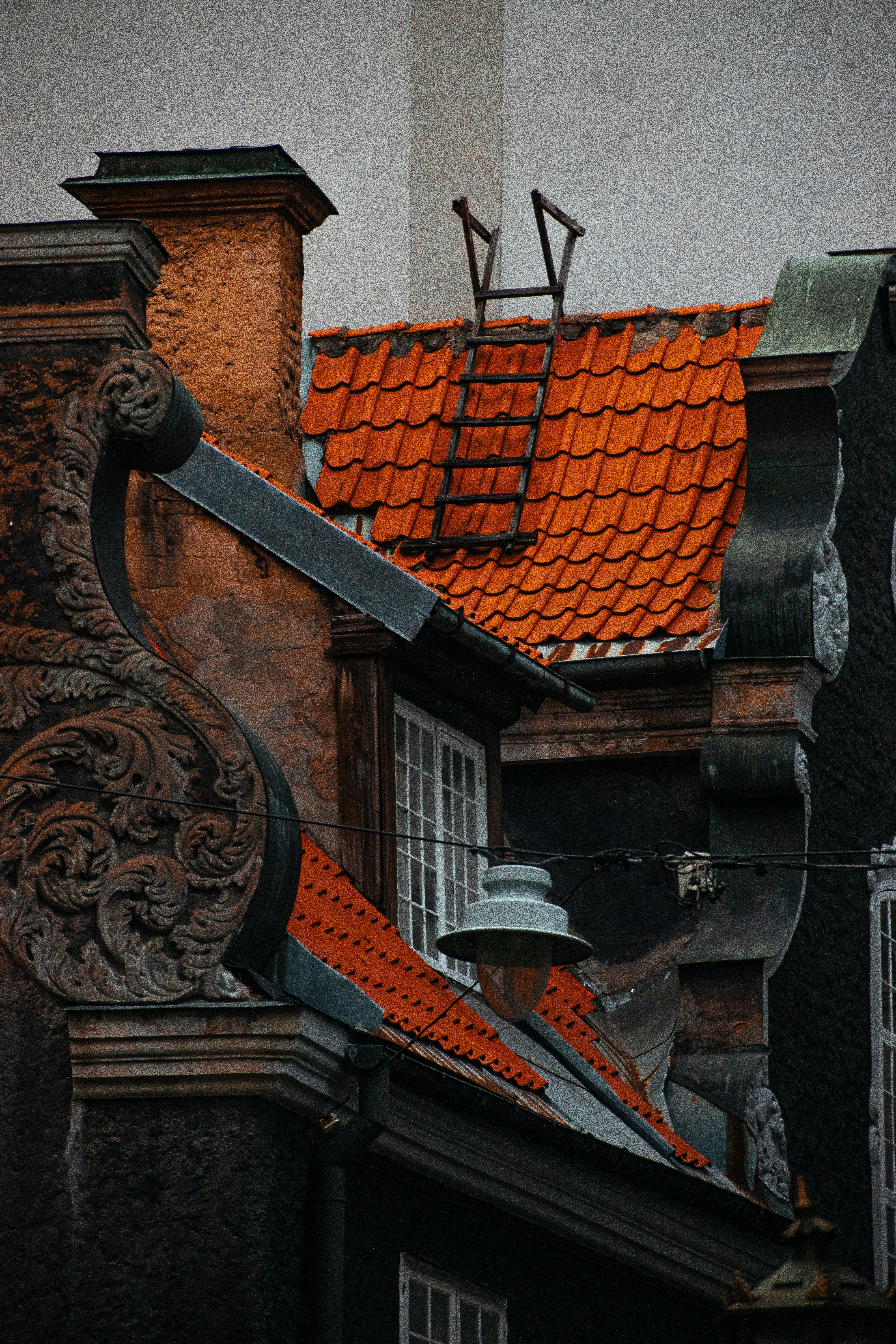 Ladder Straddling a Terracotta Rooftop Beside an Ornate Facade