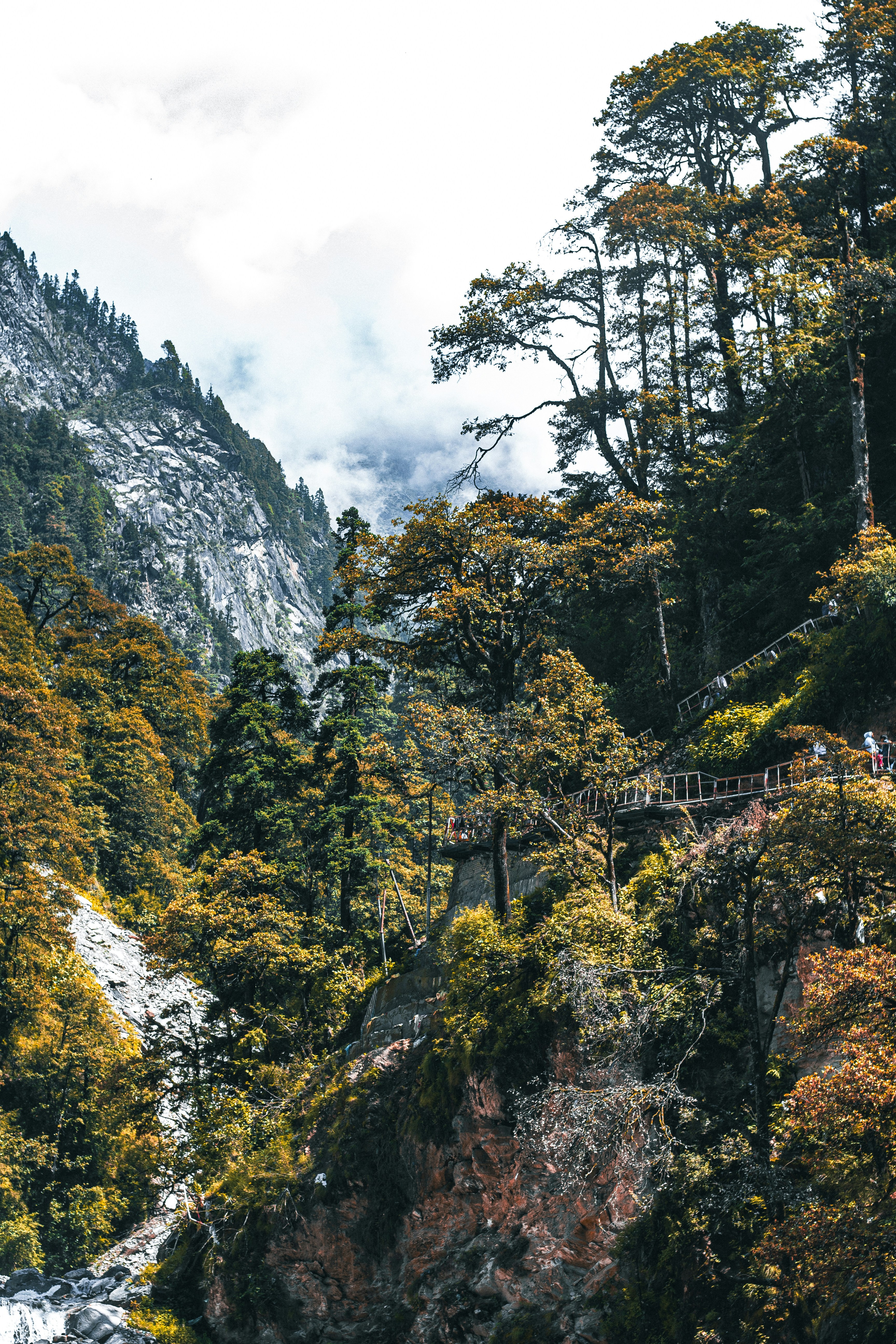 Pahadi Pictures | Download Free Images on Unsplash