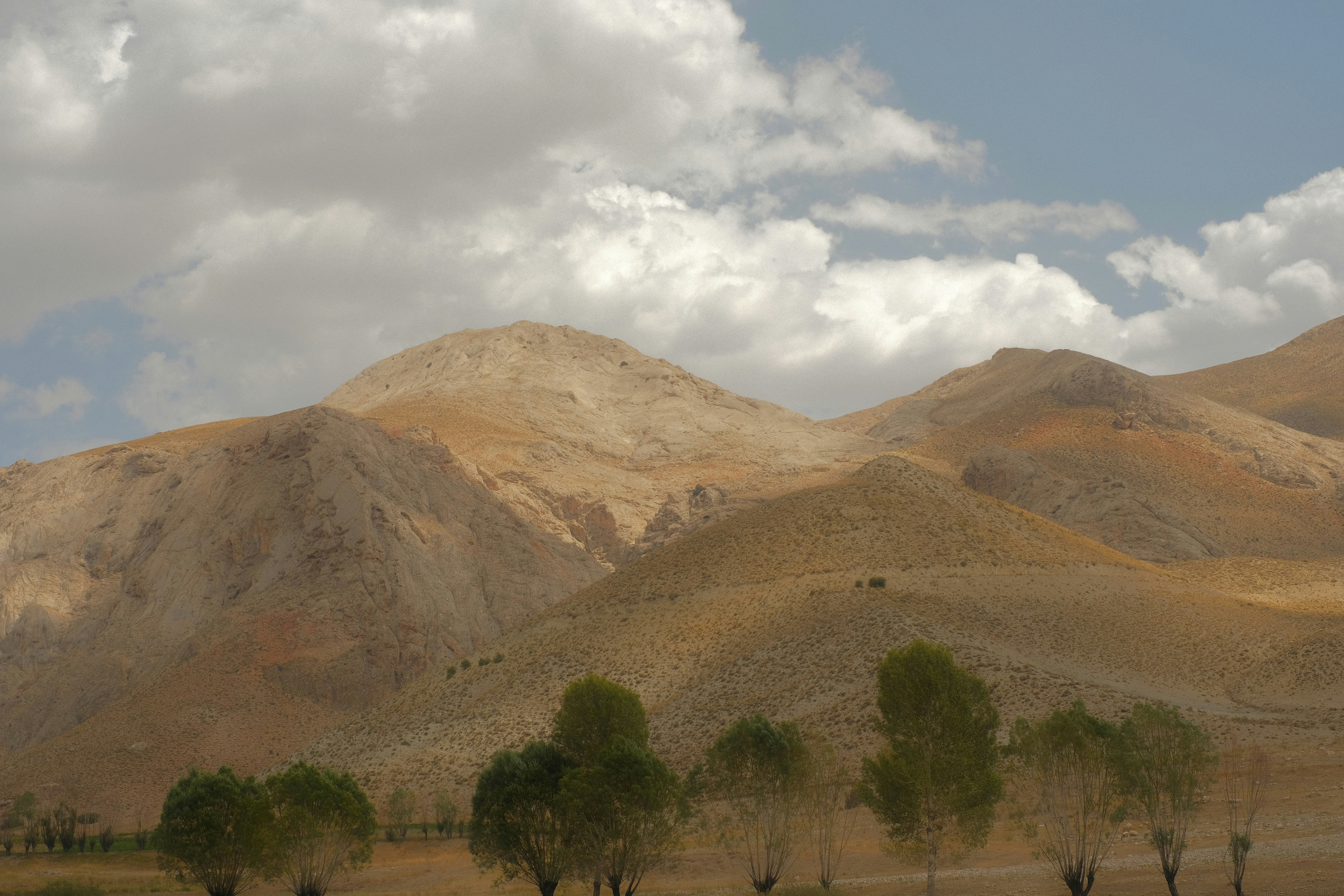 Photo by POURIA 🦋 with Fujifilm X-T4