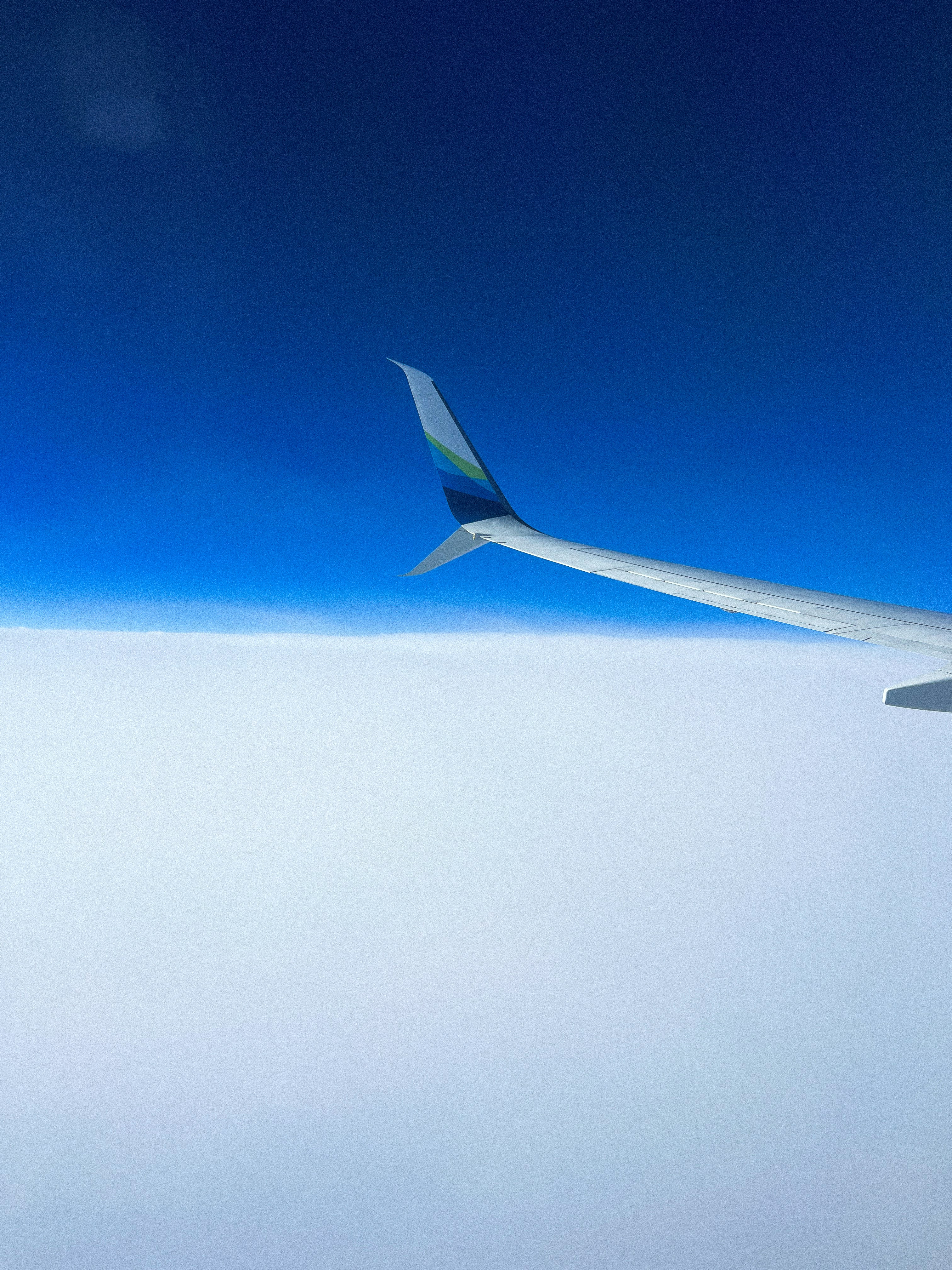 Winglet in a Cerulean Gradient: A Quiet Flight Above Clouds