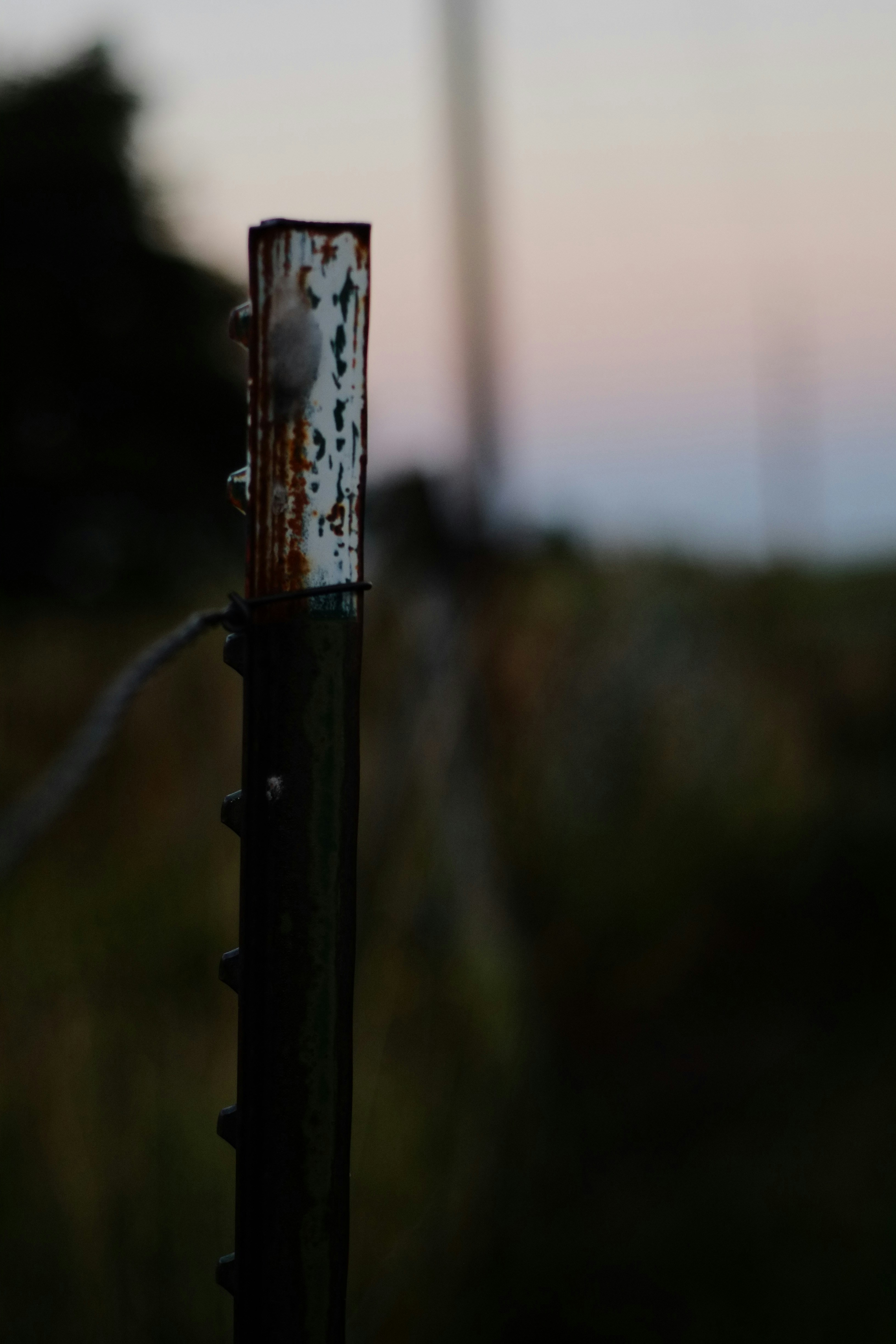Dusk on the Fence: The Rusted Post Standing Against Quiet Light