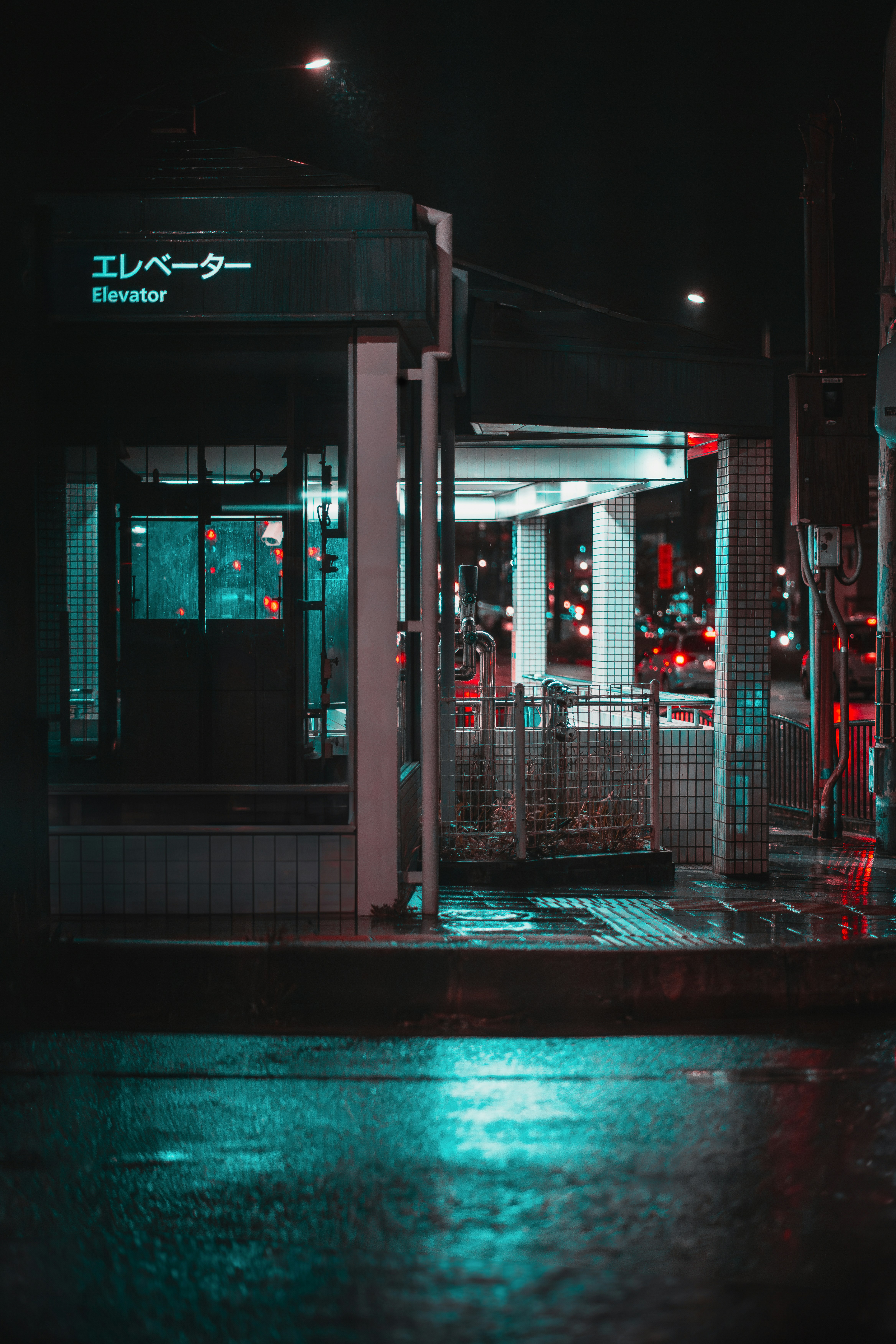 30,000+ Night Vibes Pictures | Download Free Images on Unsplash