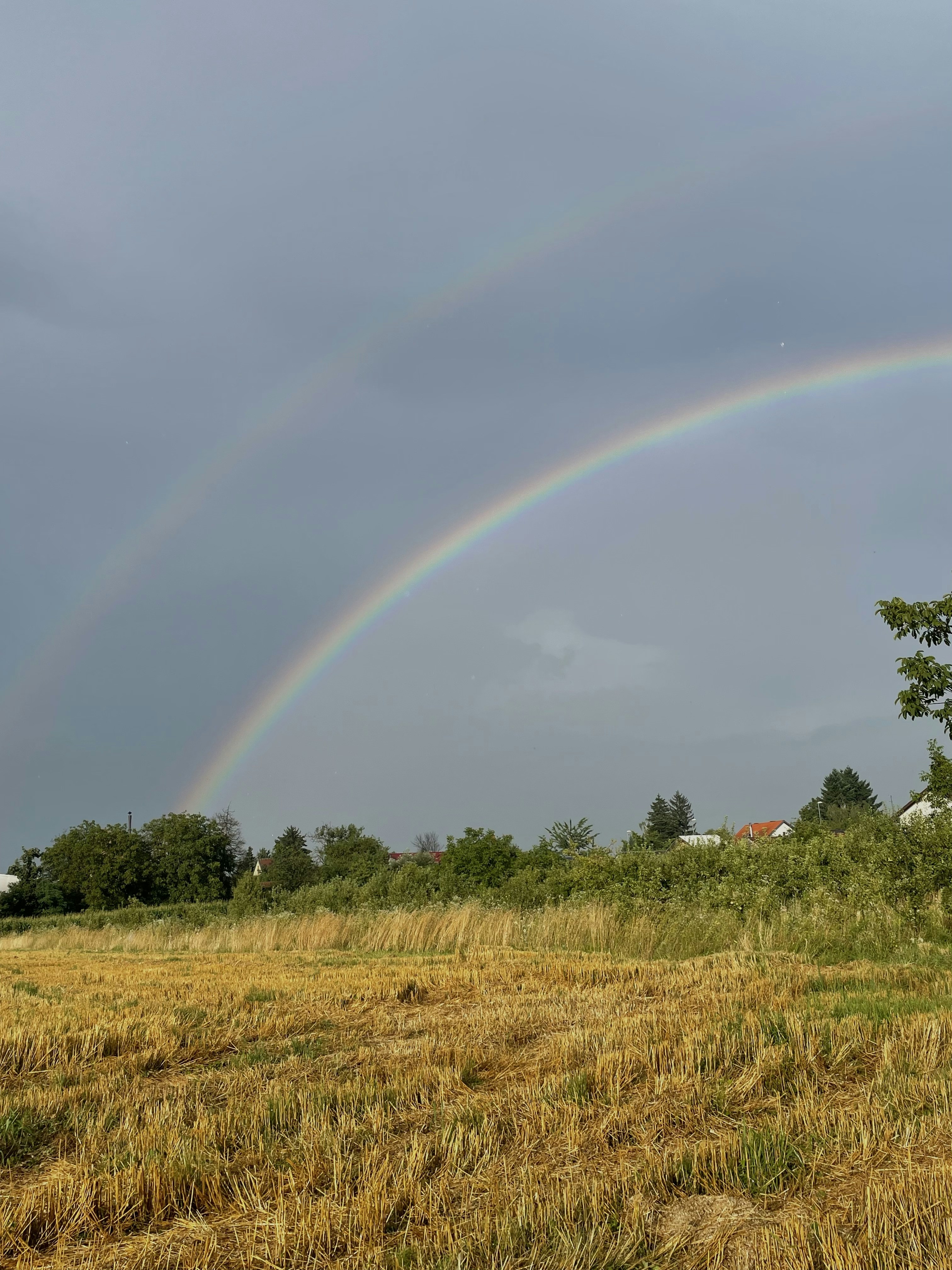 A Dual Arc of Nature's Palette