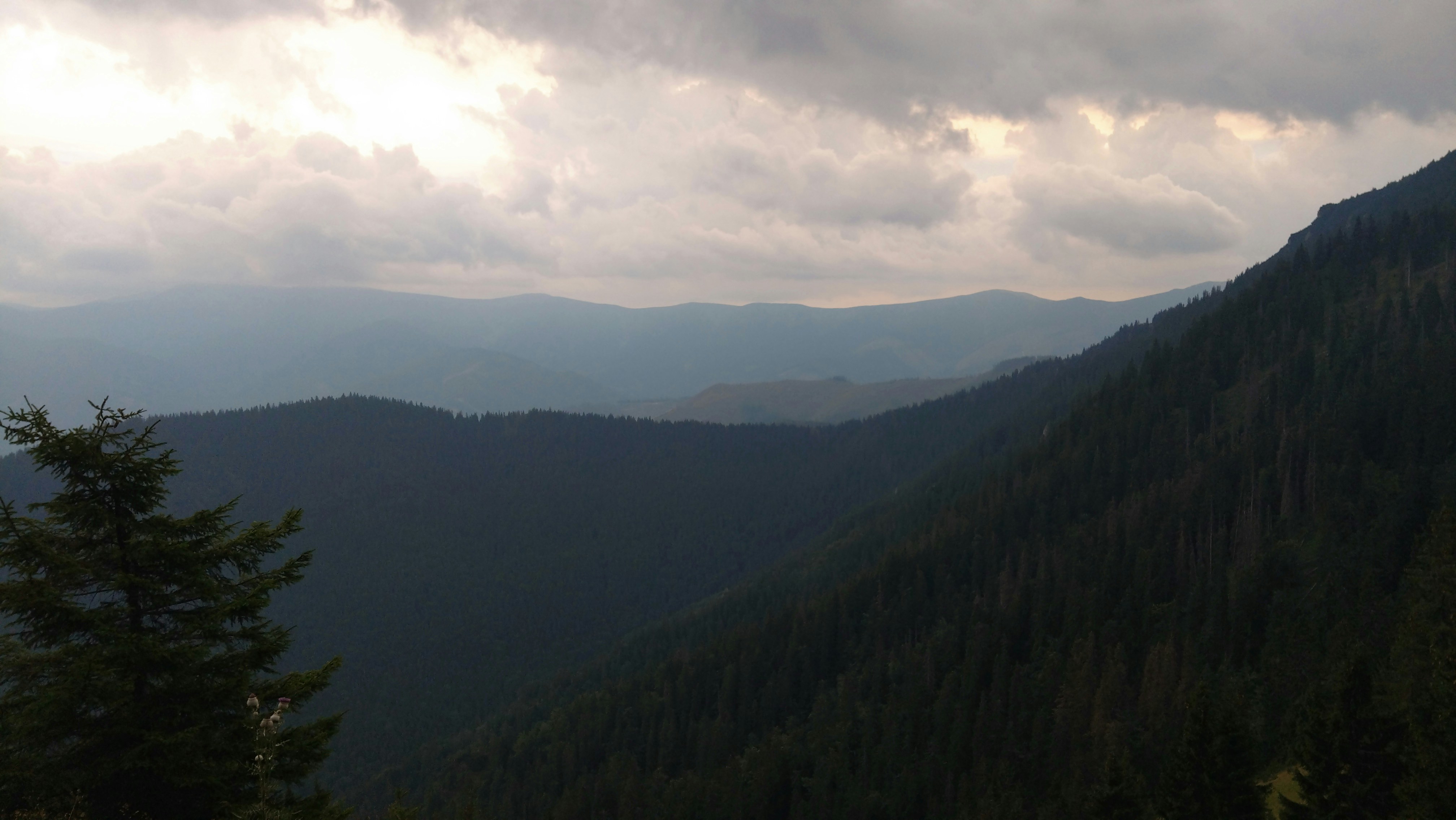 Sample photo from Sony Xperia 10 IV