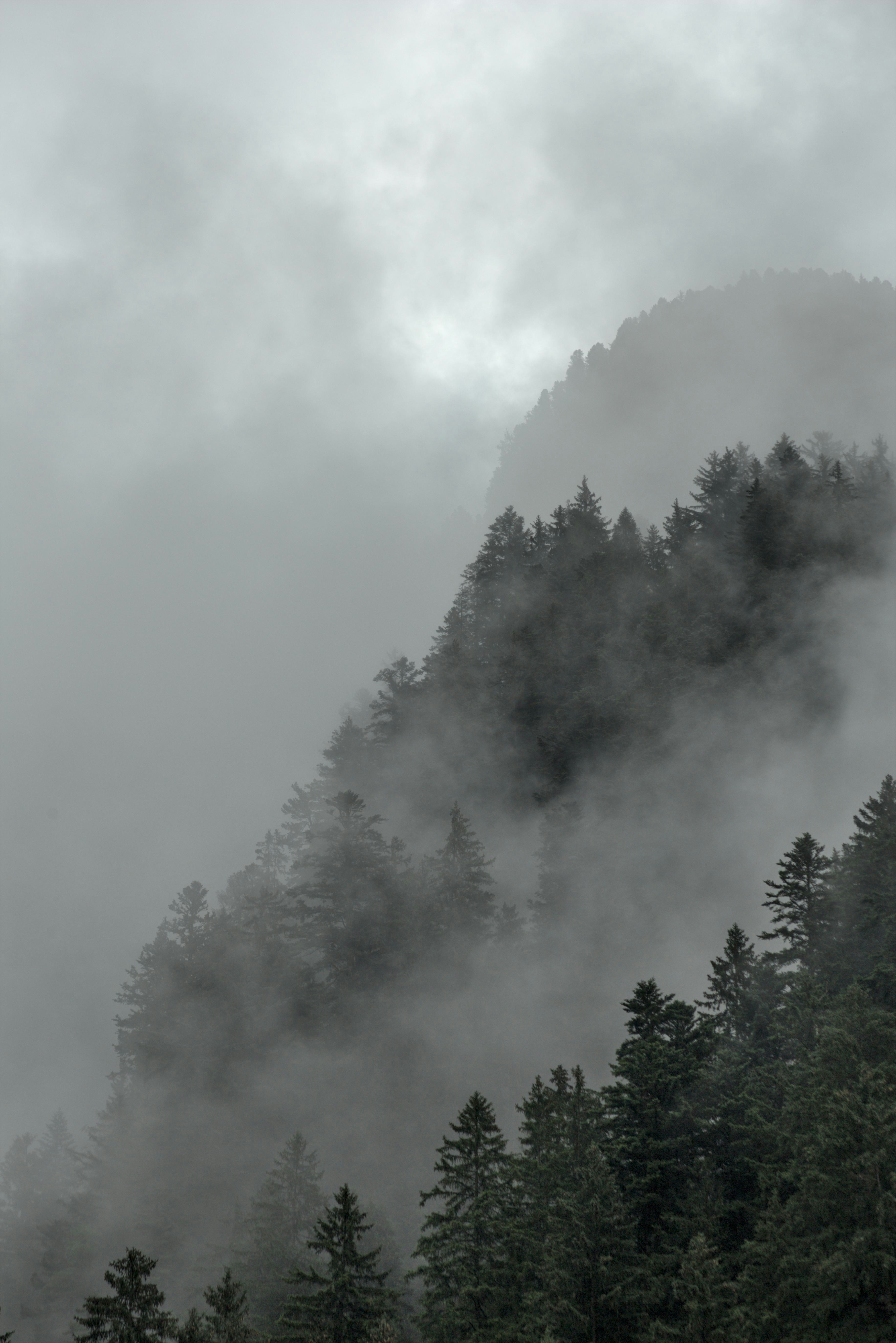 Photo by Vulpyr Photography with Canon EOS 6D