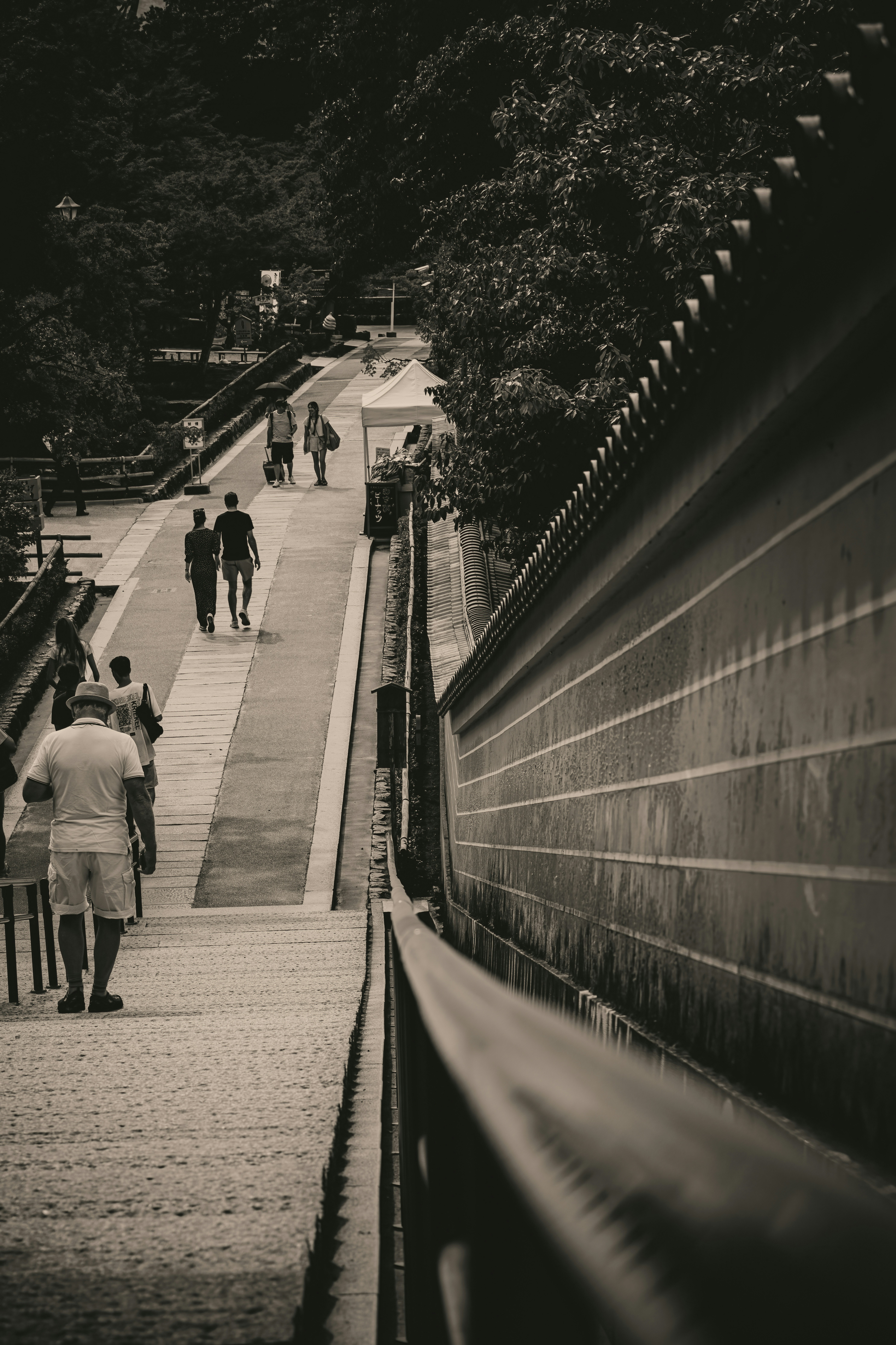 Steps of Quiet Motion: Parallel Pathways in a Monochrome Walkway