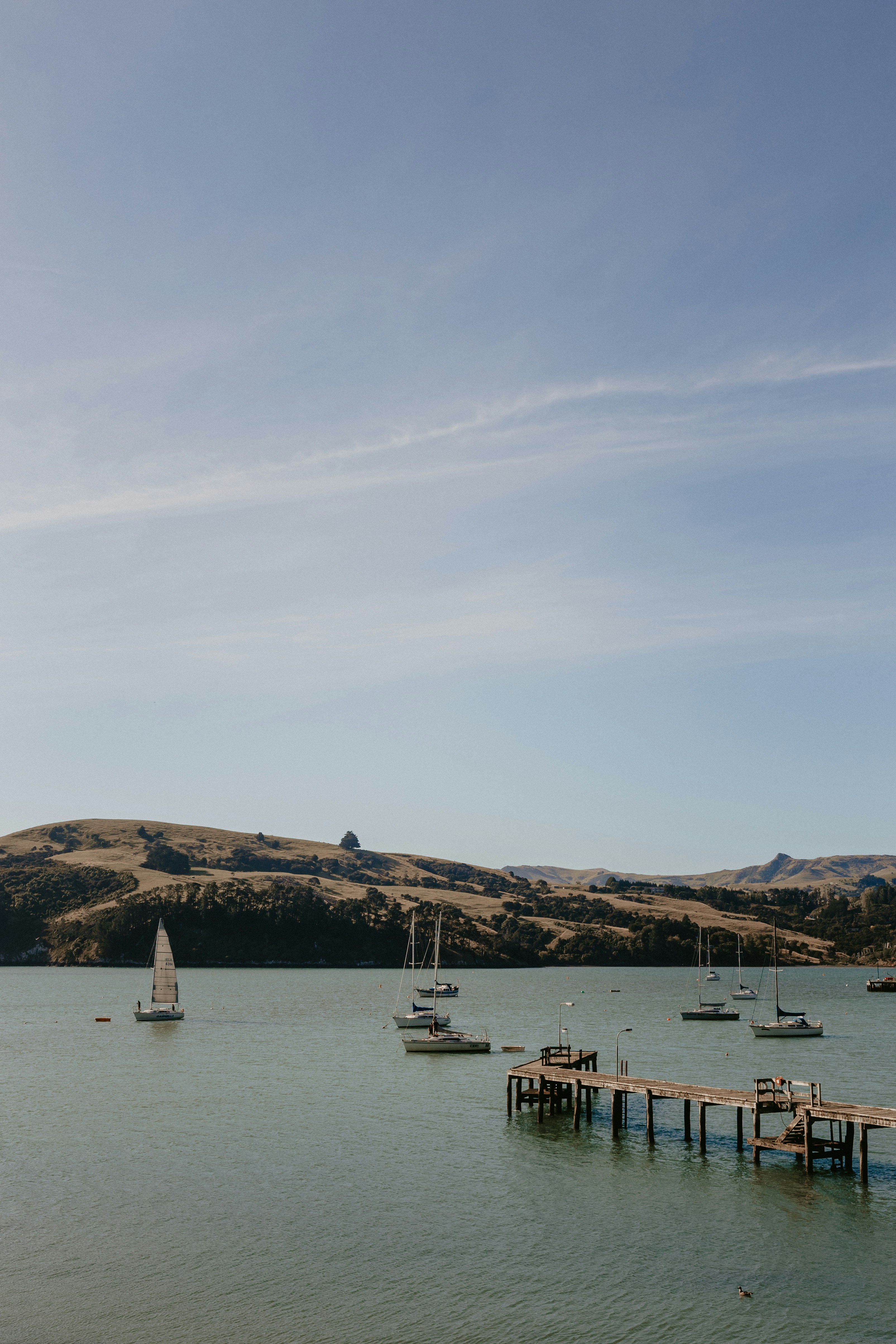 A group of boats floating on top of a lake photo – Free New zealand ...
