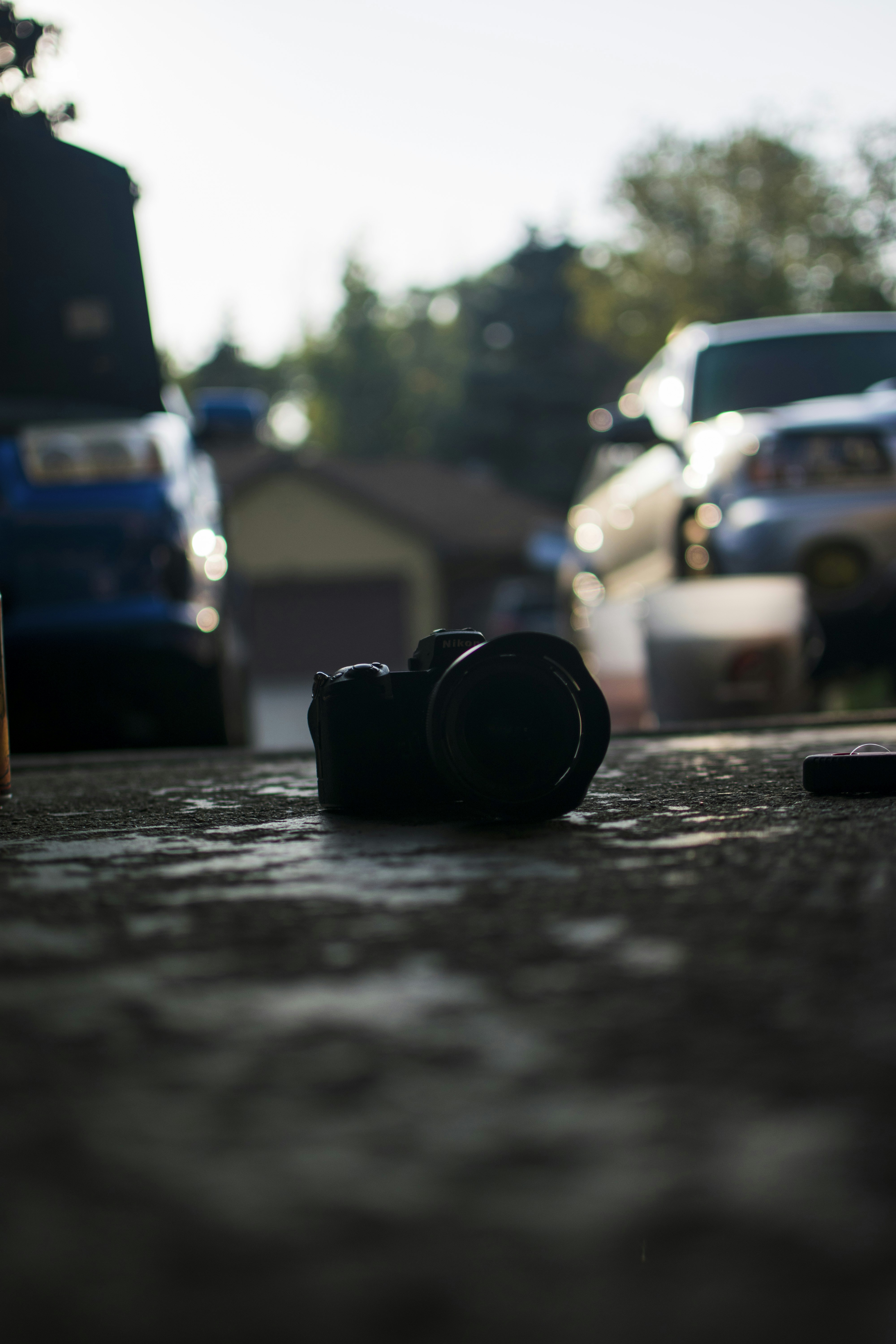 Grounded Focus: A Compact DSLR Resting on a Wet Driveway with Suburban Blur