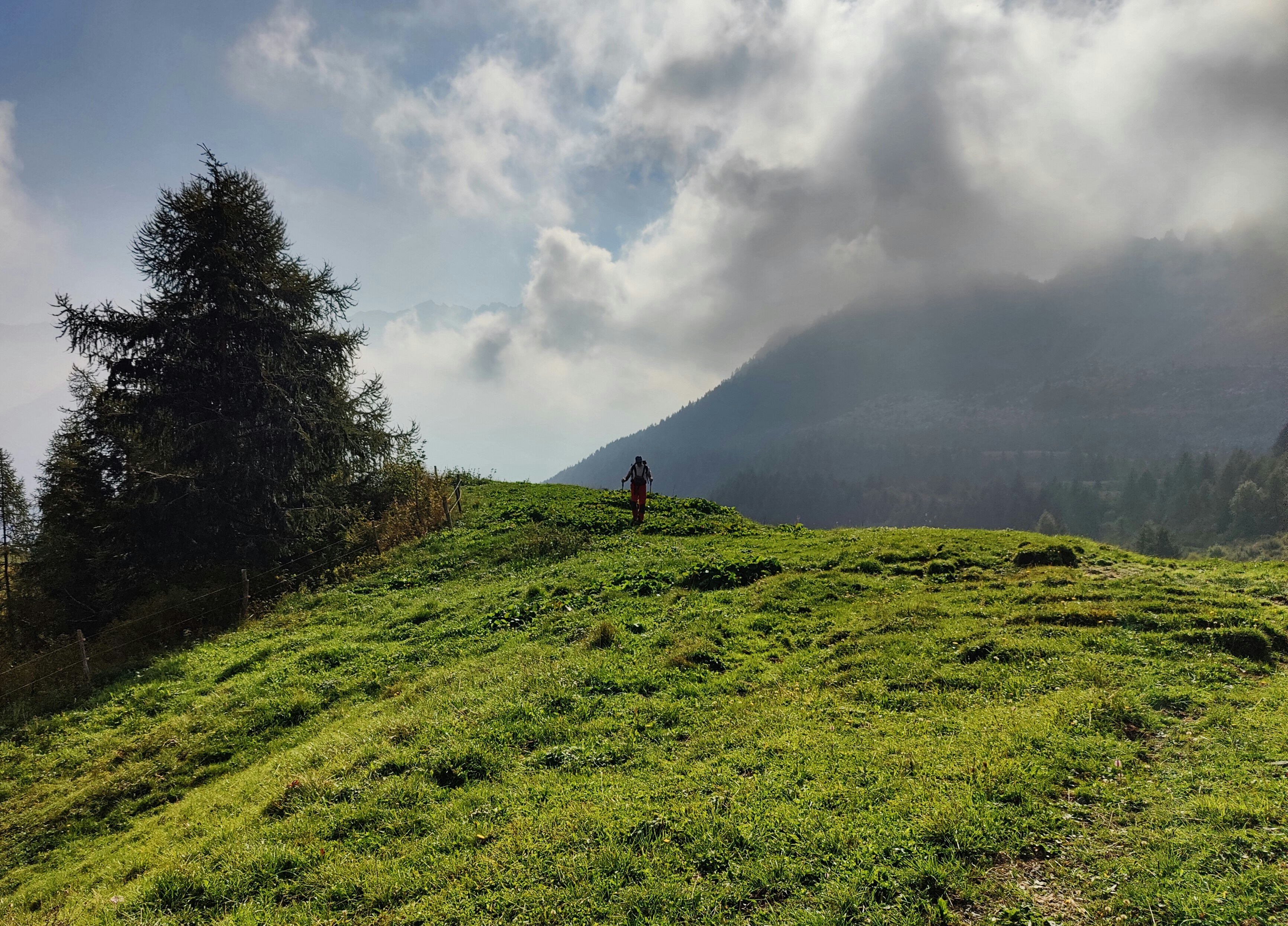 Lone figure standing on a green hill under a cloudy sky with a large tree nearby.