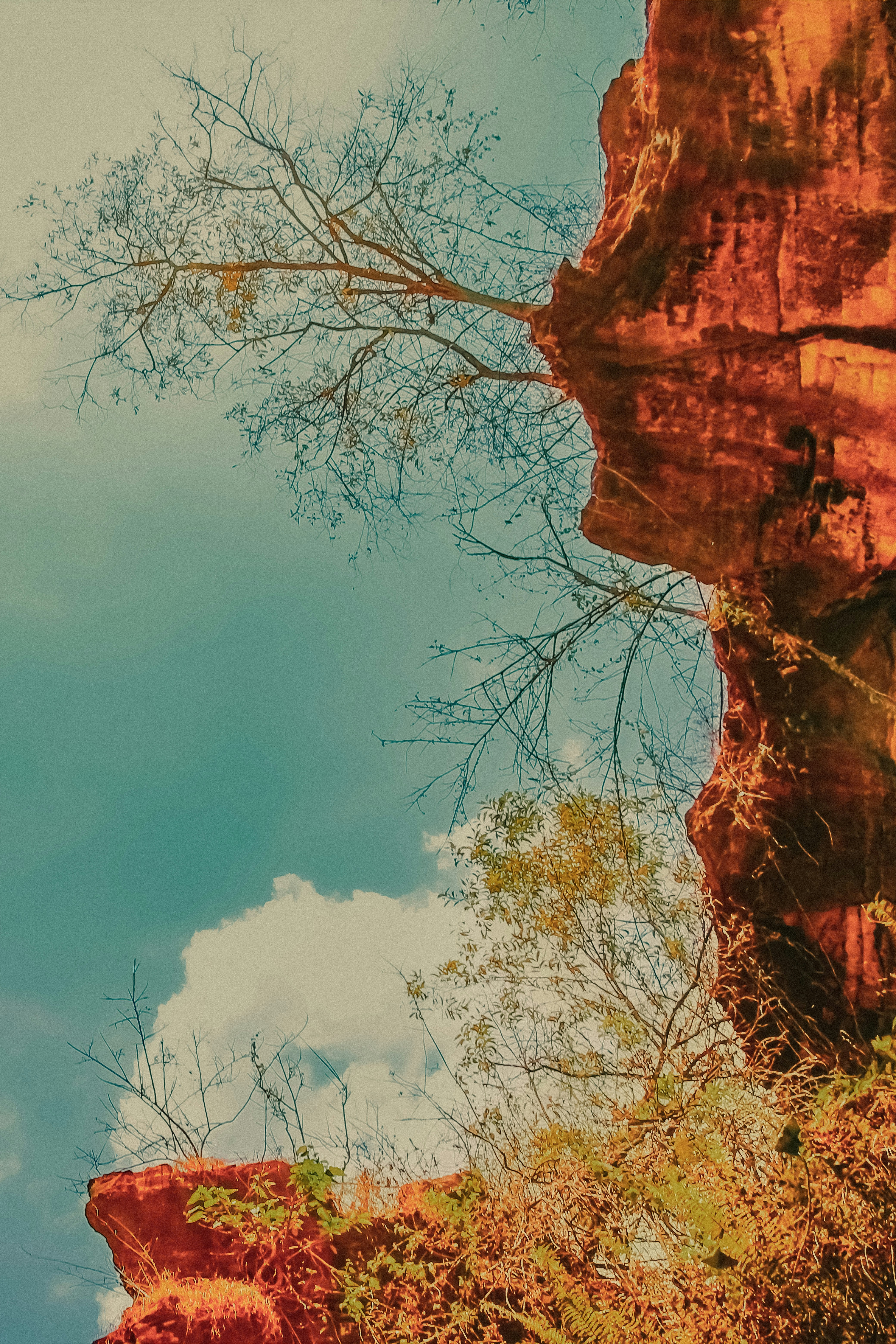 Crimson Cliff and Bare Branches Against a Turquoise Sky
