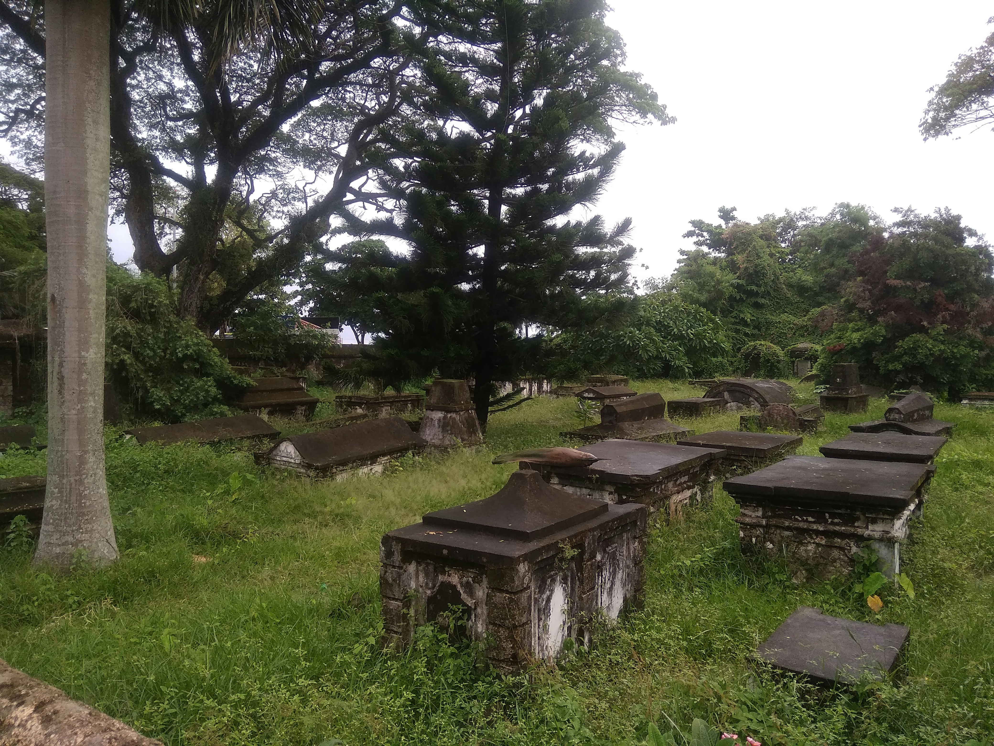 Photo by anoj anto with Xiaomi Redmi 5A