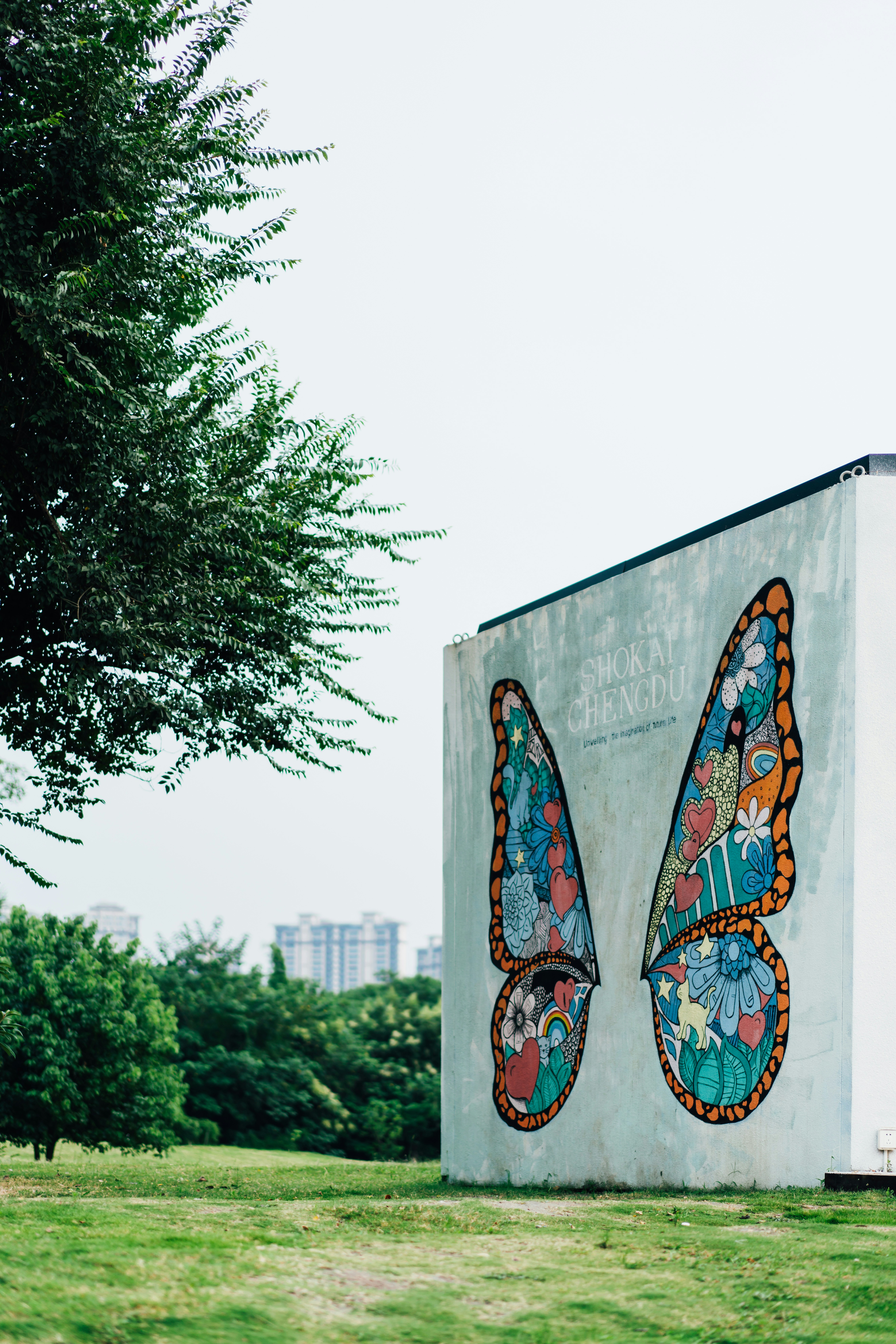 Butterfly mural on sunlit park wall: a splash of color against green and concrete