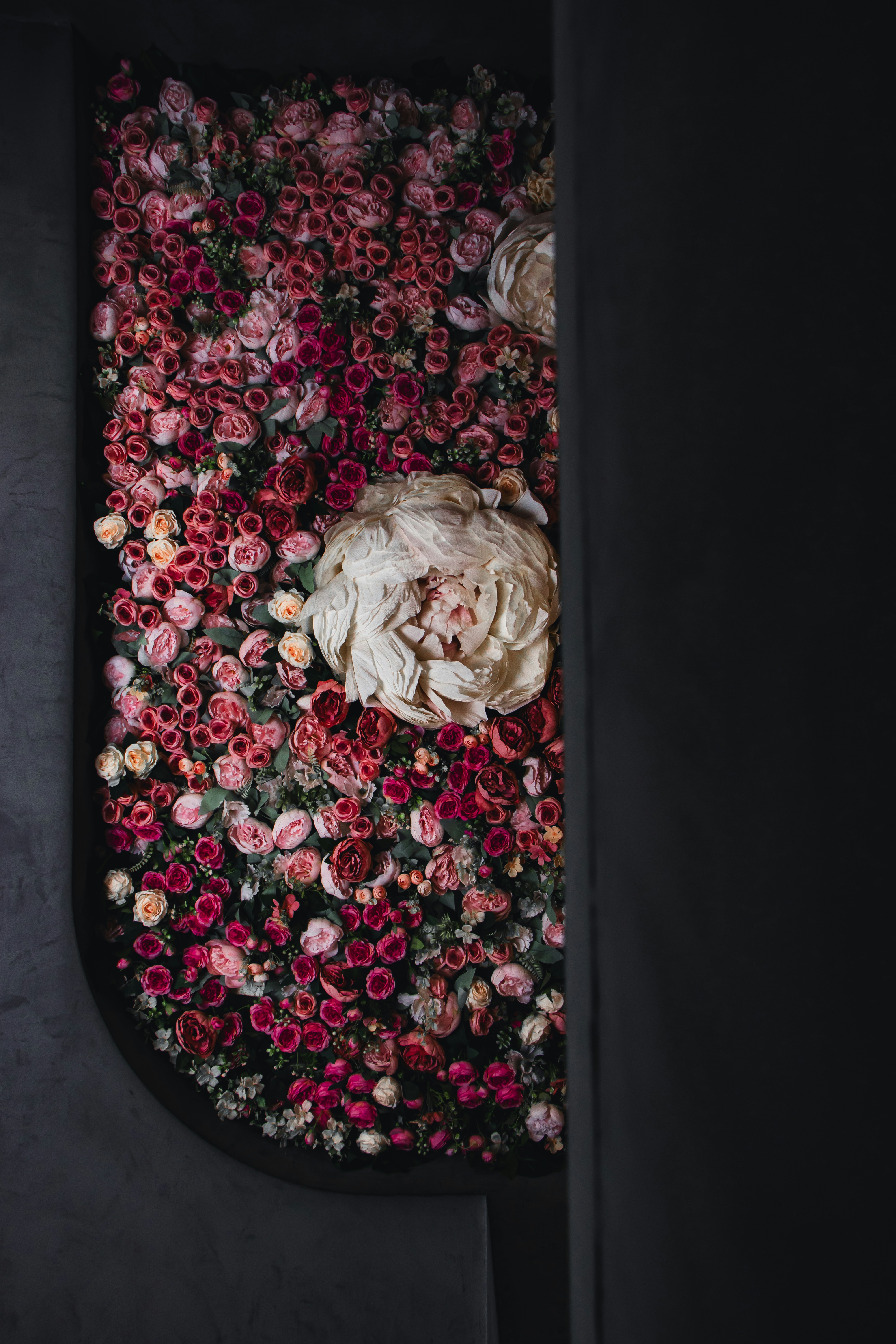 A Vertical Cascade of Bloom: Velvet Roses Framed by Shadow