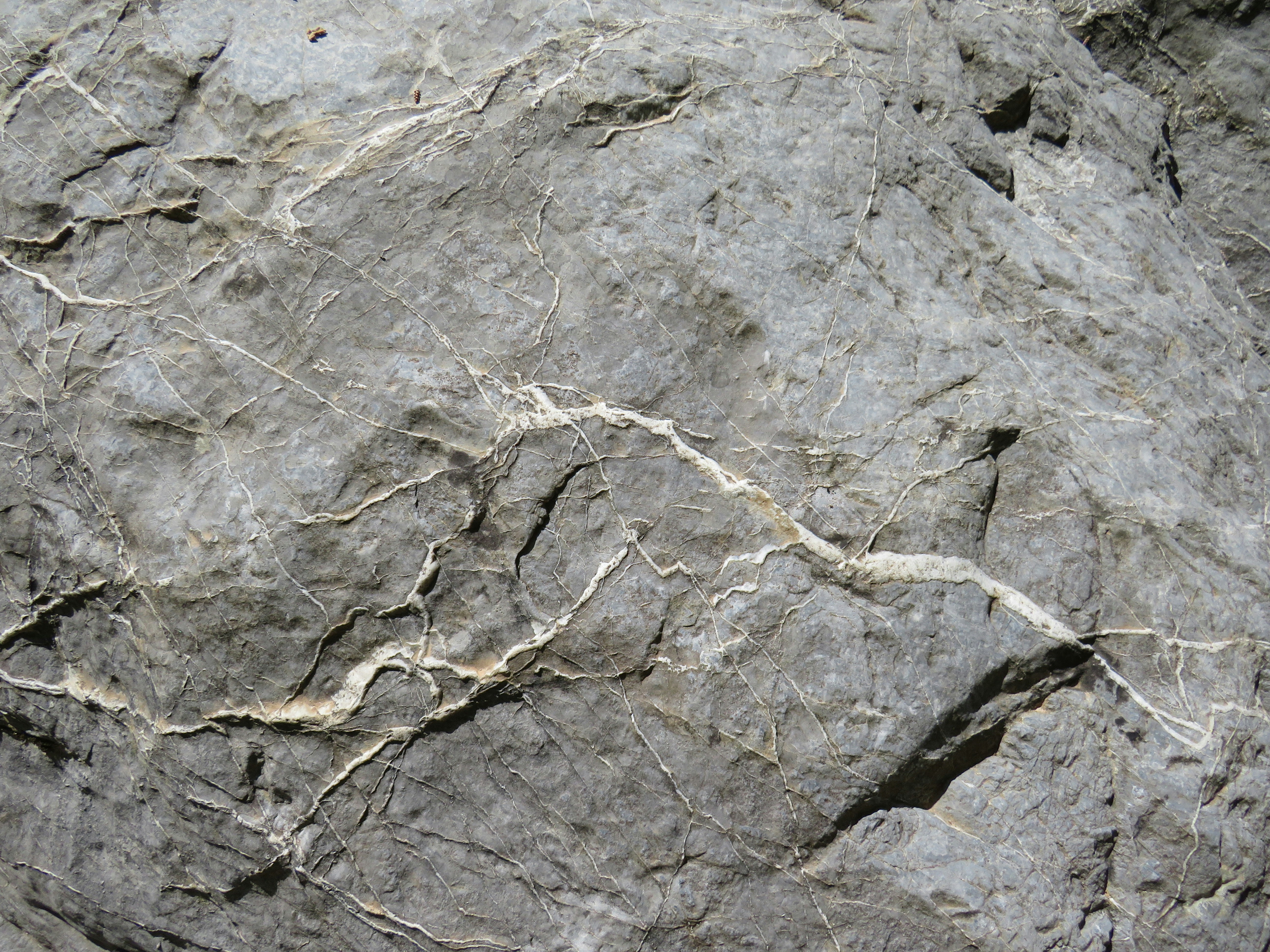 A close up of a rock with cracks in it photo – Free Background Image on ...