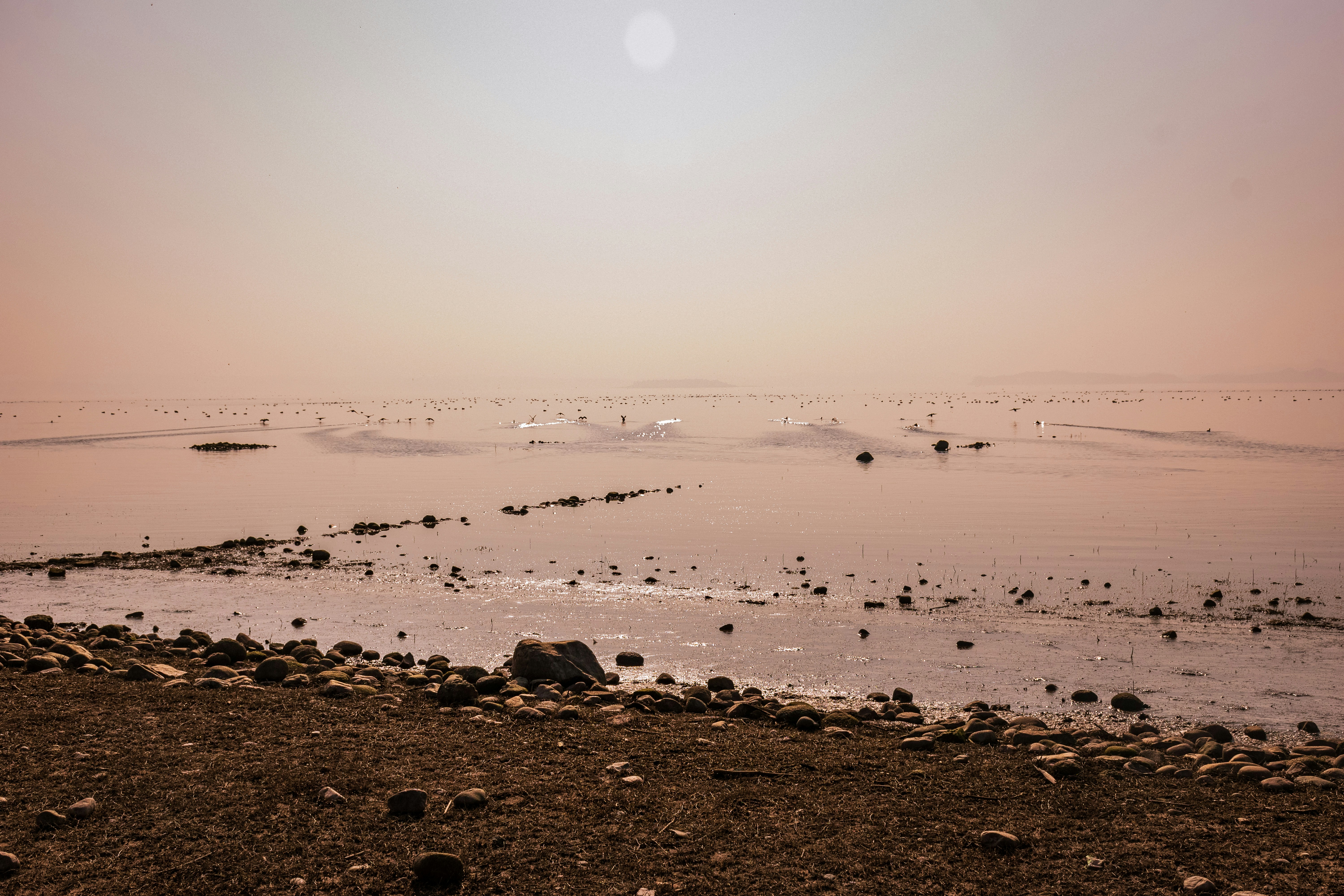 Dawn on a Pebble Beach: Warm Mist over Quiet Tides