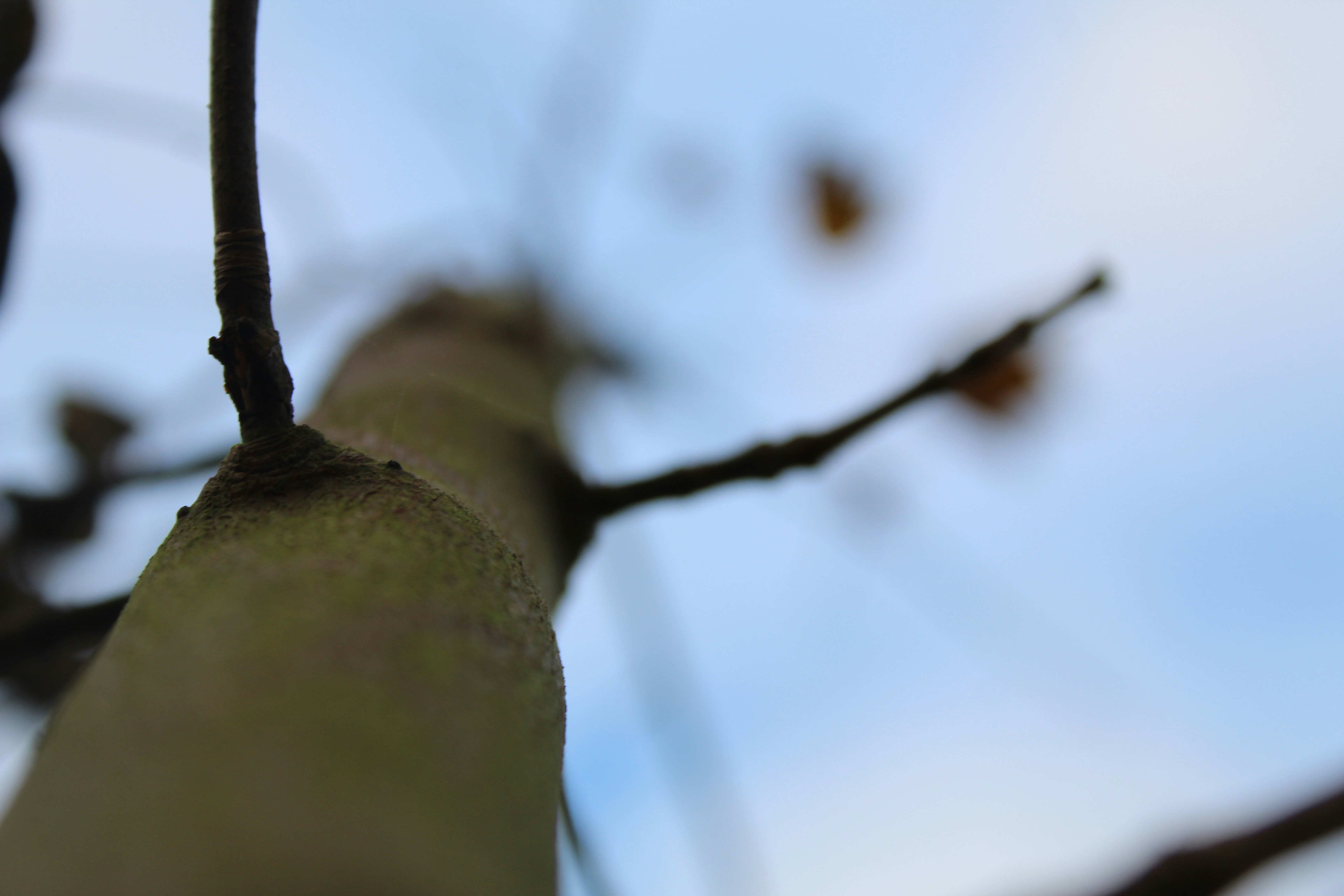 Photo by Ben Alliston with Canon EOS 4000D