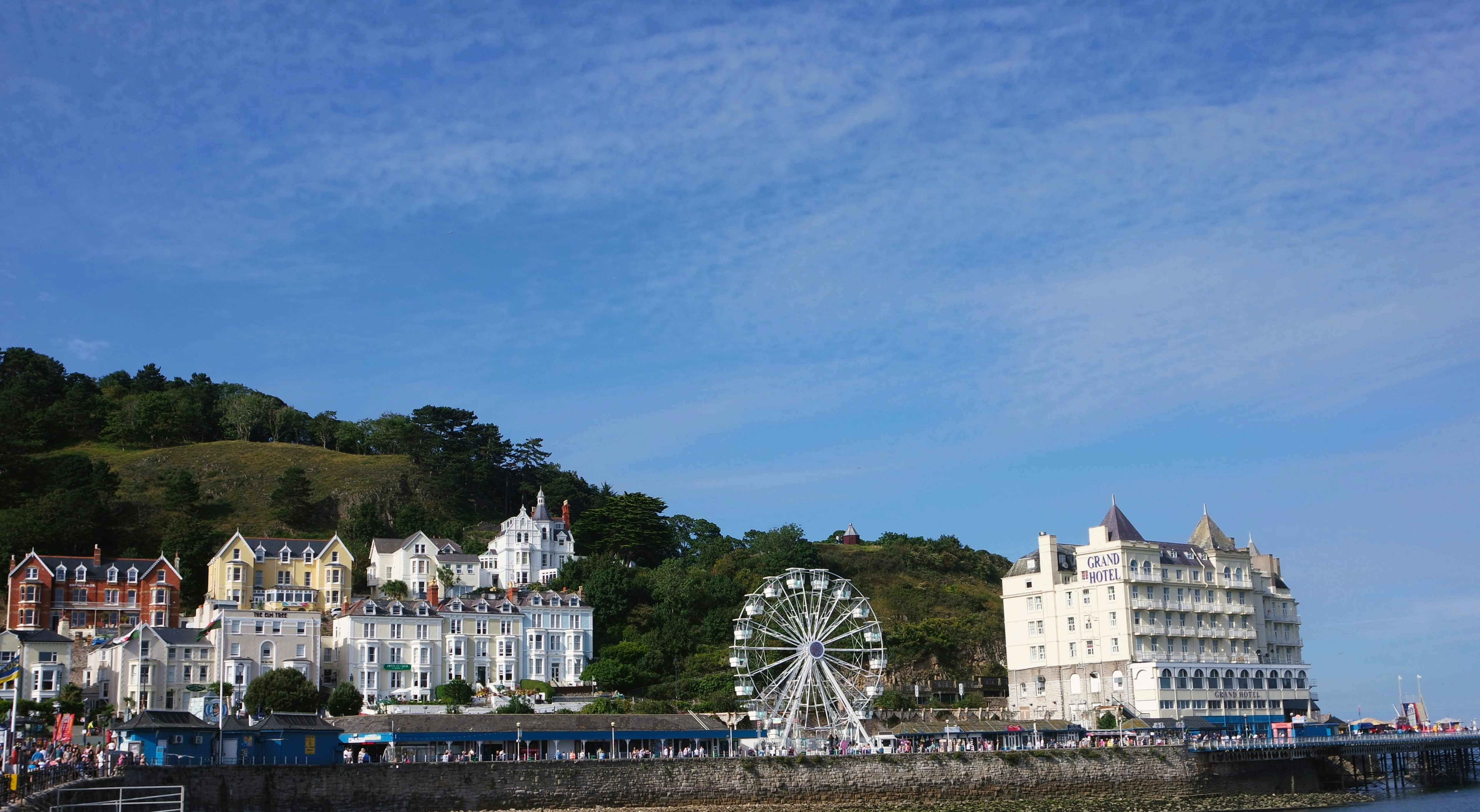 A ferris wheel sitting on the side of a body of water photo – Free Y ...