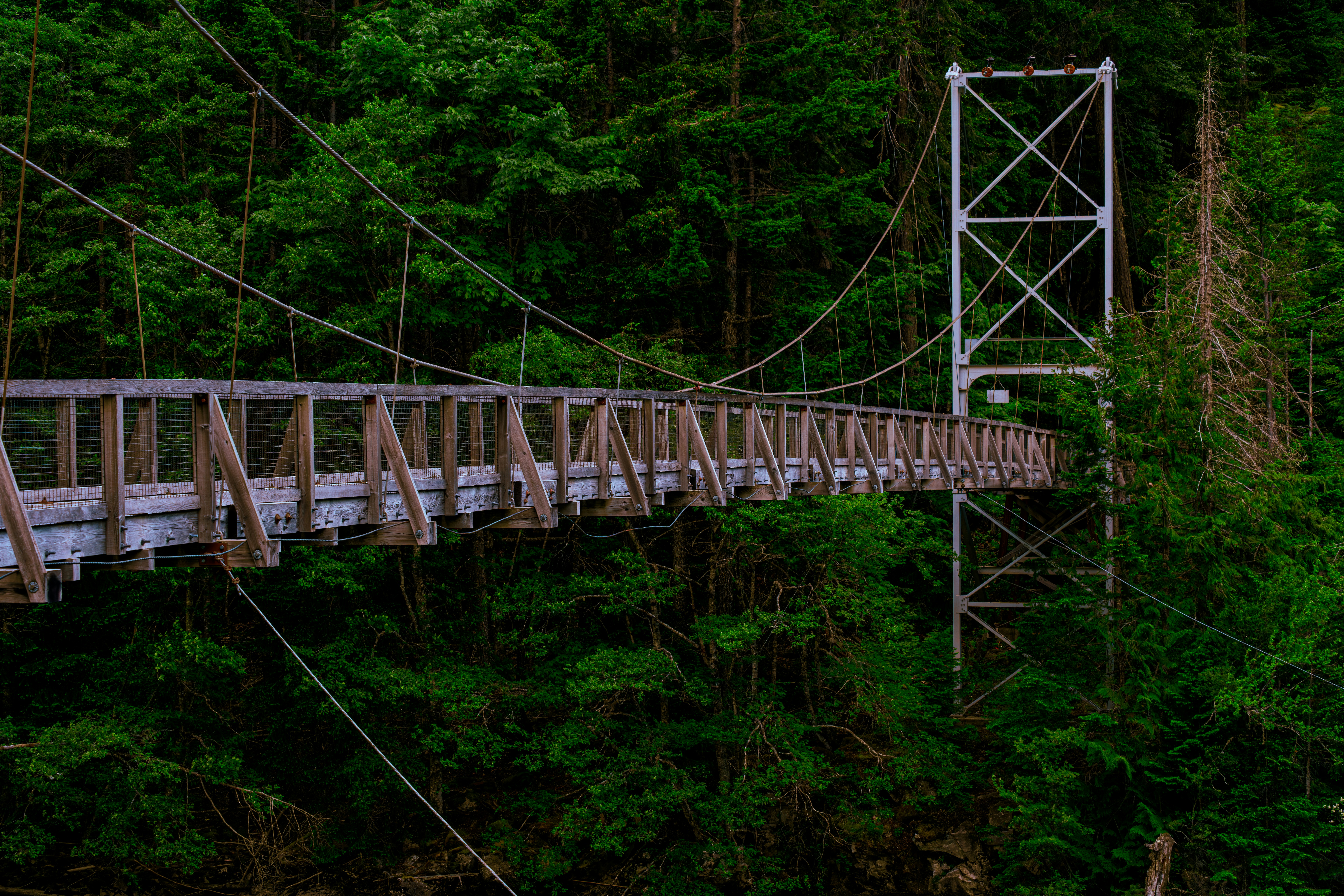A wooden bridge in the middle of a forest photo – Free Diablo lake ...