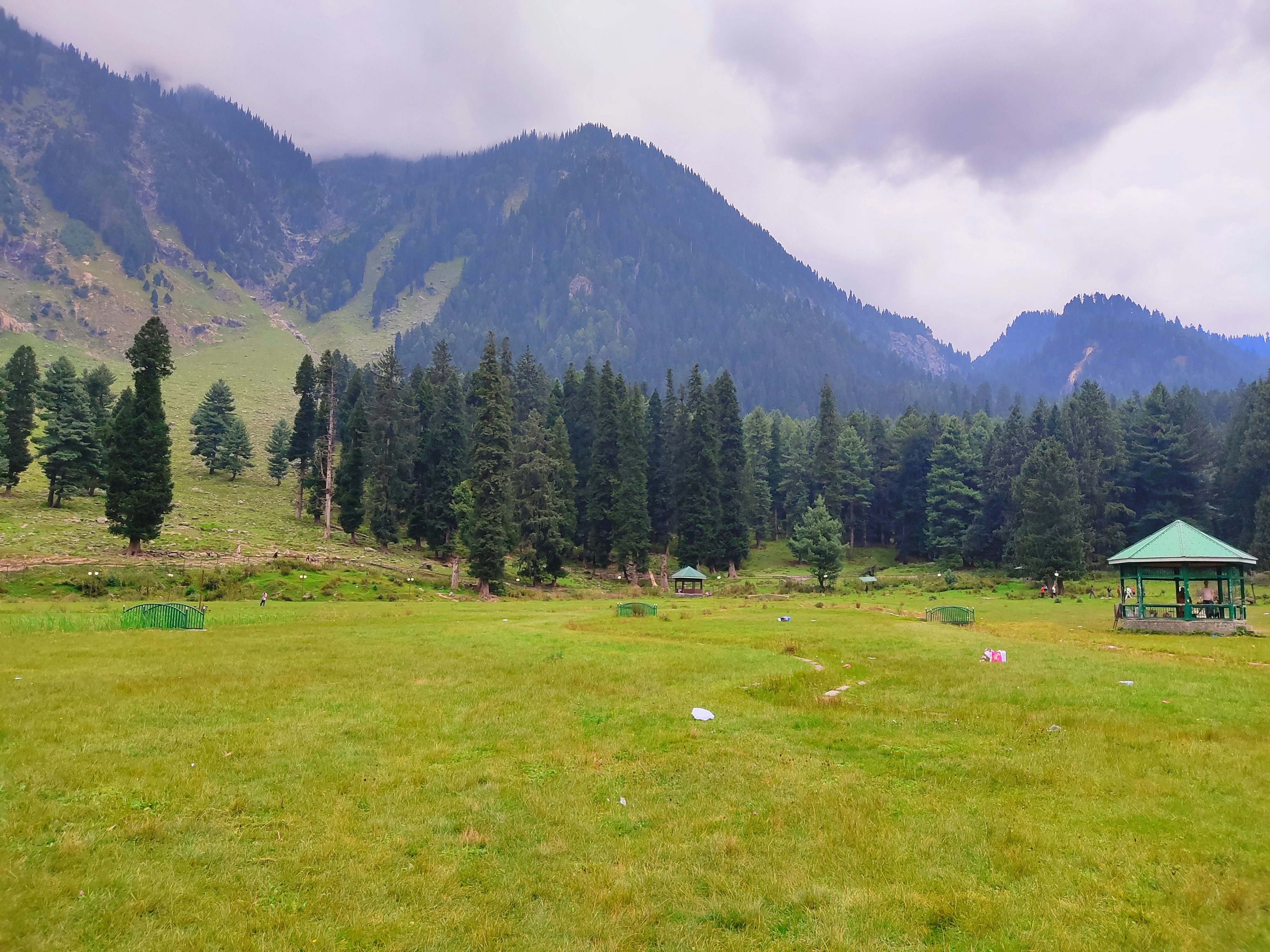Alpine meadow with scattered pines and distant forested mountains; a small pavilion sits to the right, creating a tranquil landscape composition.
