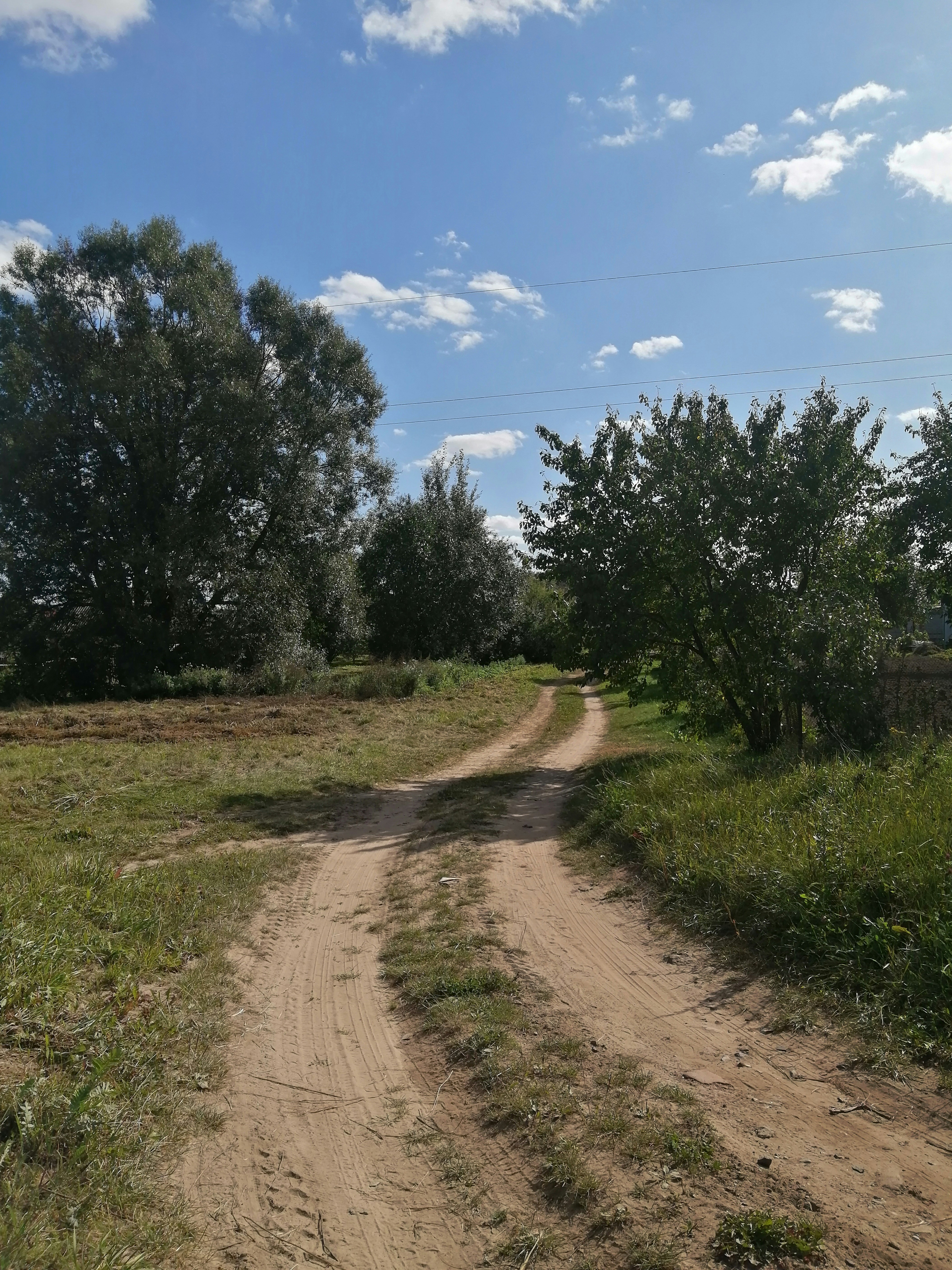 Dusty Lane Through a Sunlit Rural Corridor