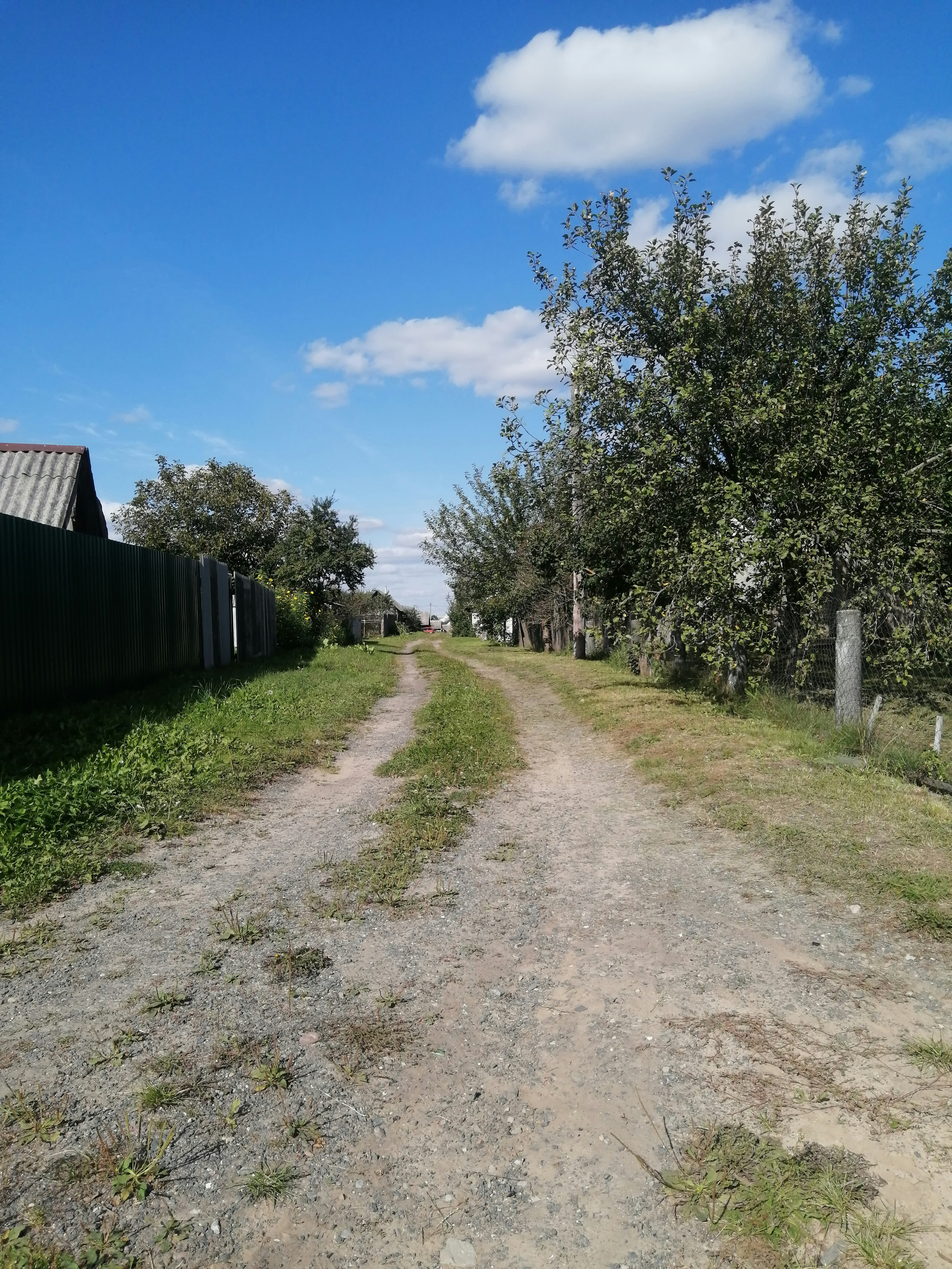Vanishing Lane: A Quiet Rural Path Between Fences and Trees