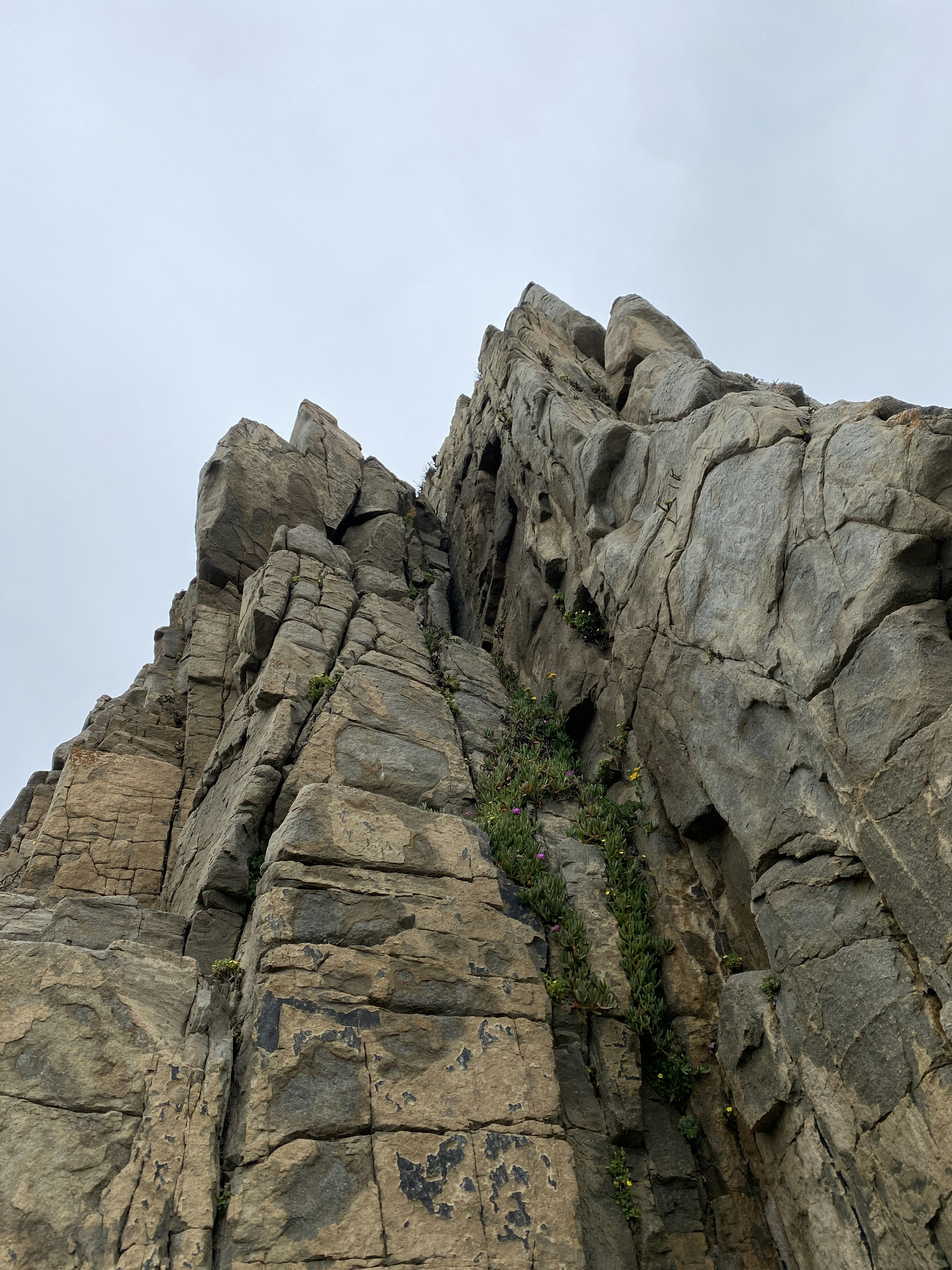 A very tall rock formation with some plants growing out of it photo ...