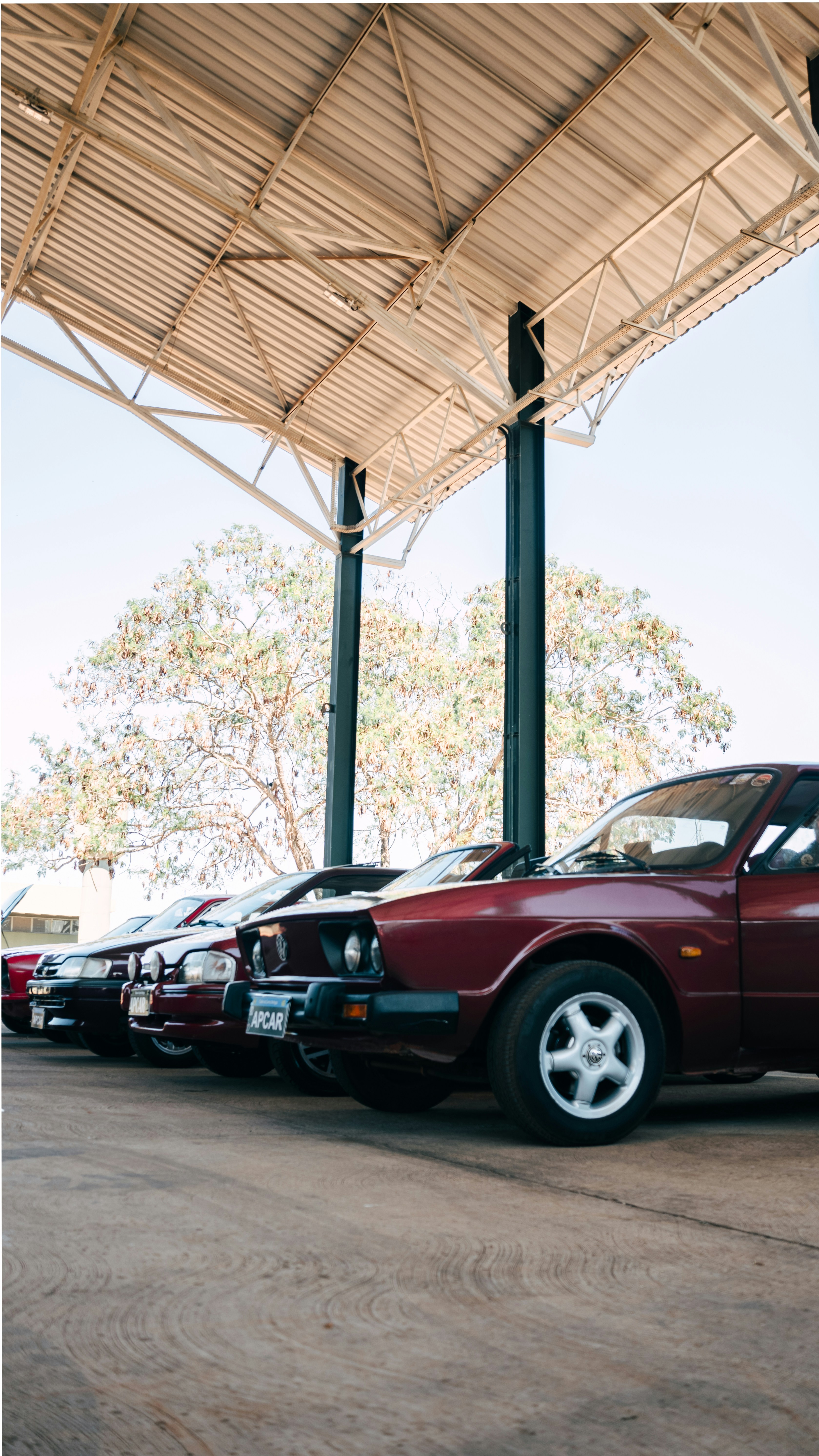 Under the Shelter: Row of Classic Sedans Framed by Steel Beams