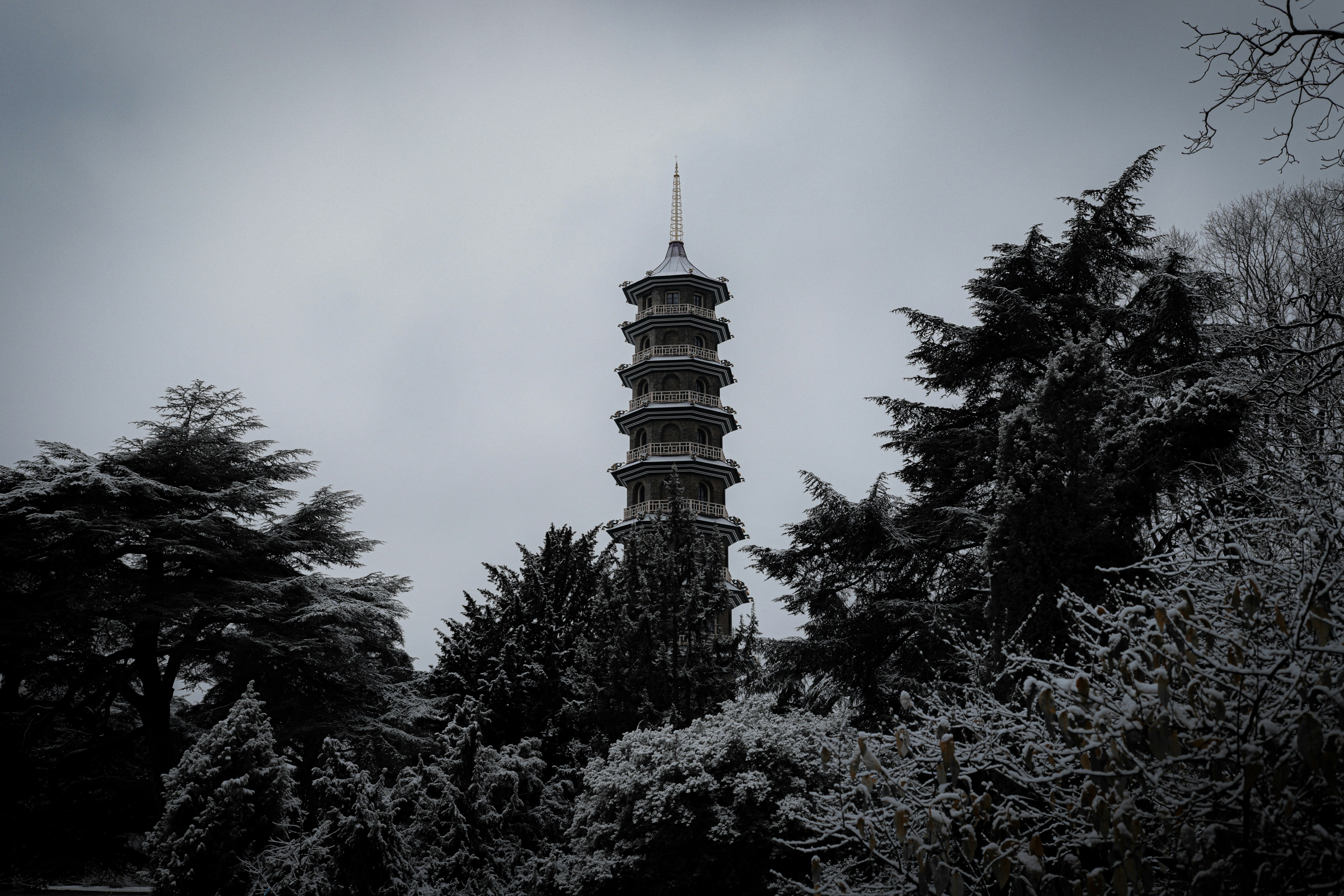 Snowbound Pagoda Ascending Through a Crown of Pines