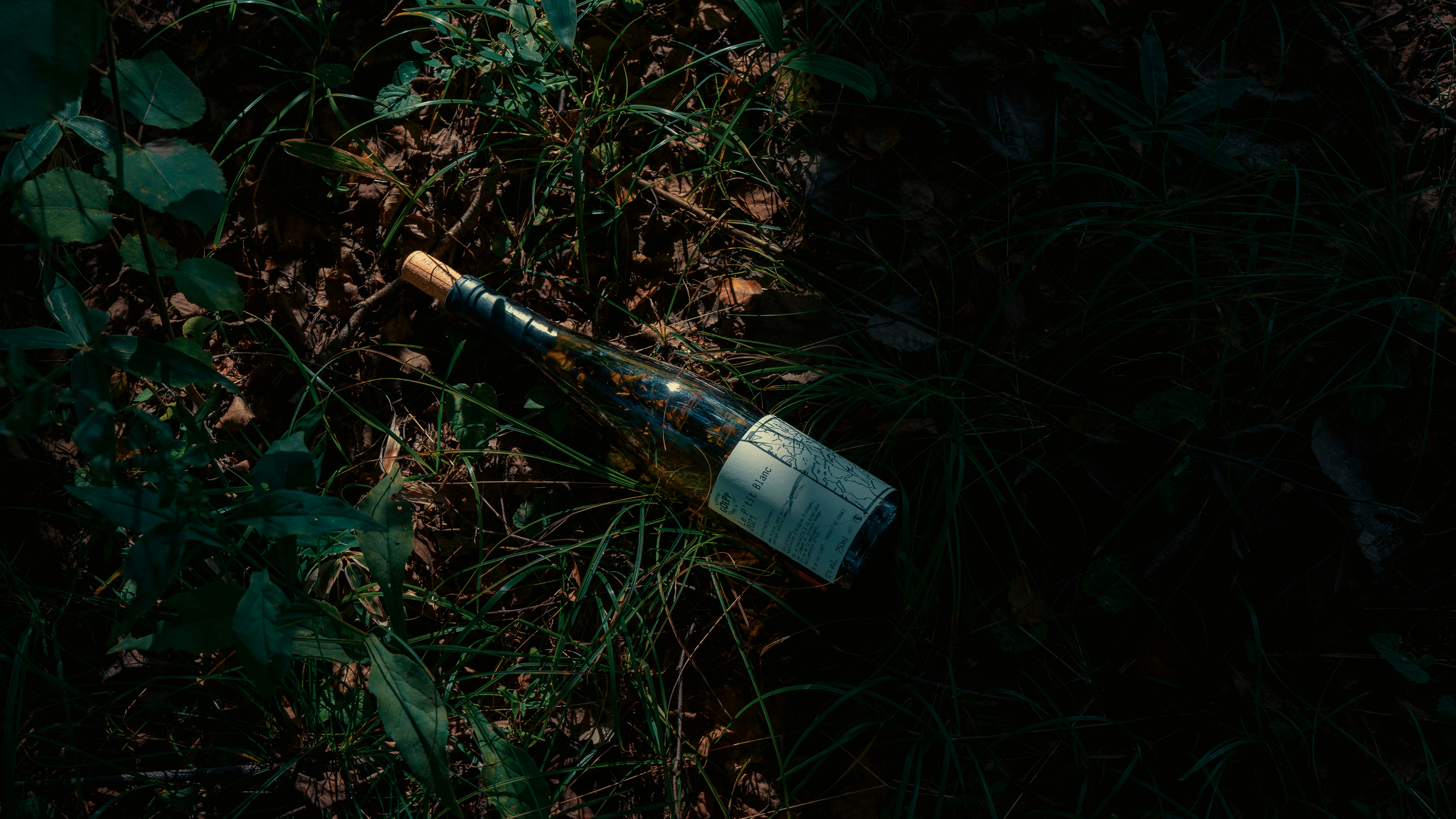 Forgotten Wine Bottle Resting in Shadowed Underbrush