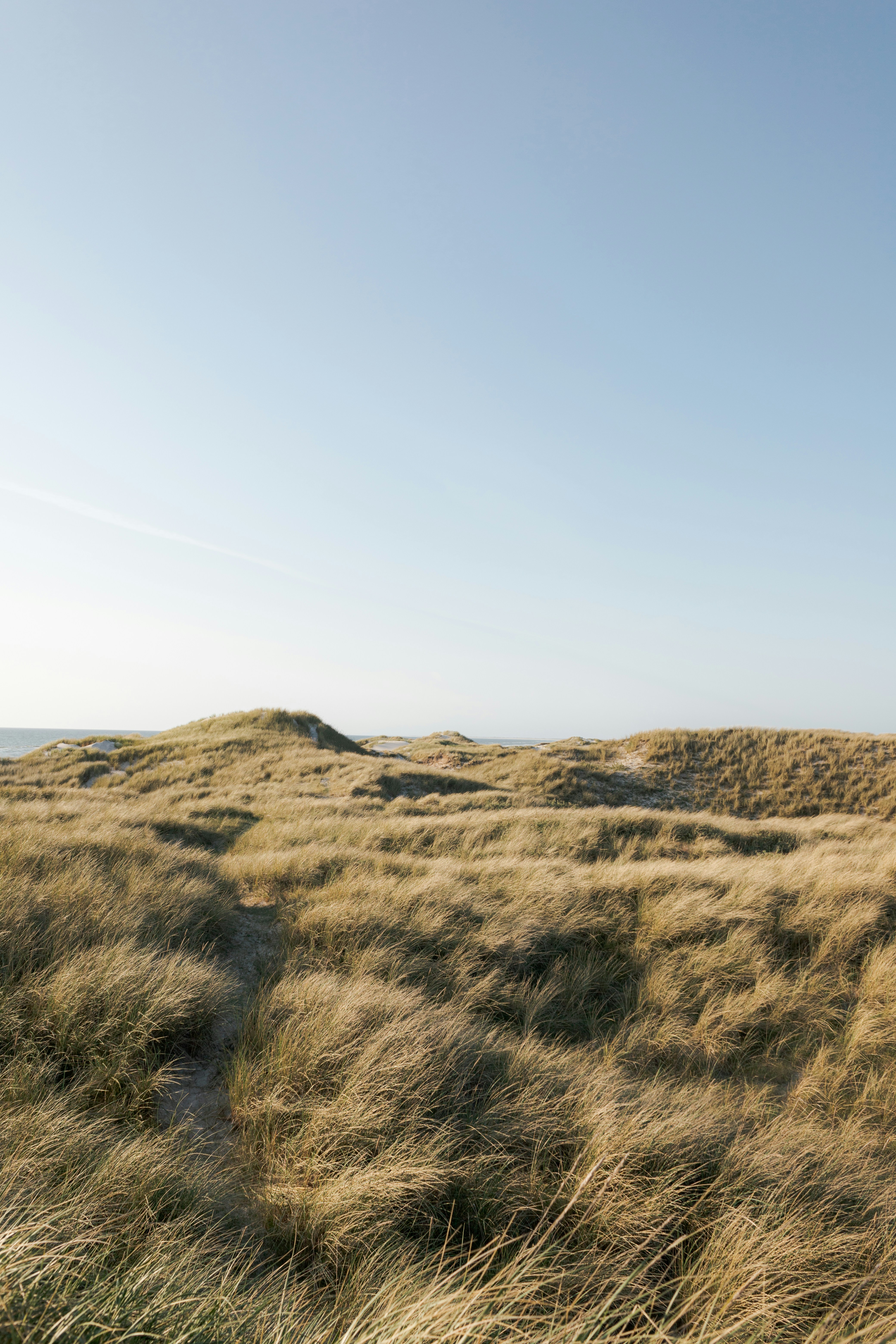 A grassy field with a blue sky in the background photo – Free Hvide ...