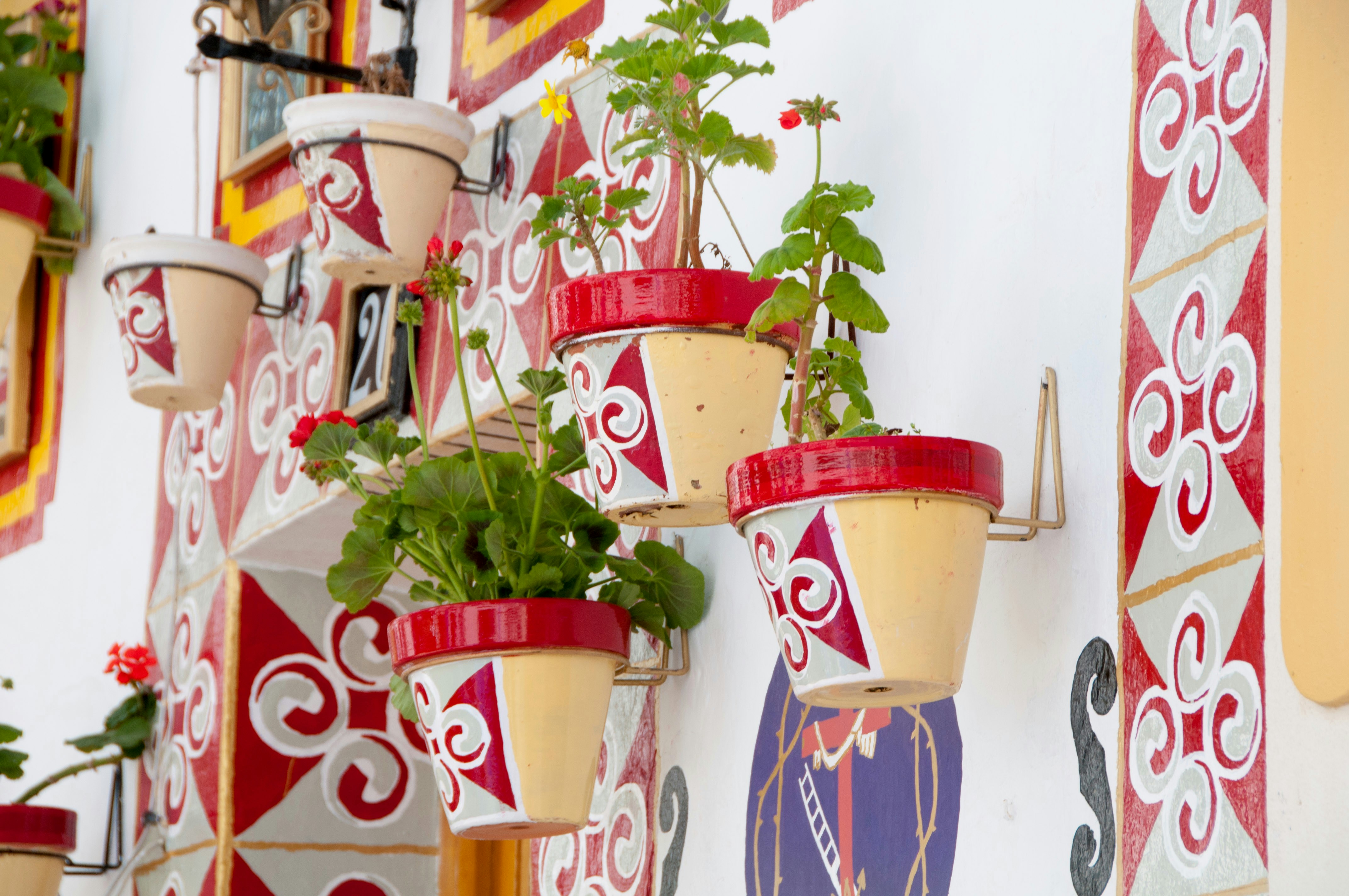 Crimson-Rimmed Planters Line a Lively Patterned Wall