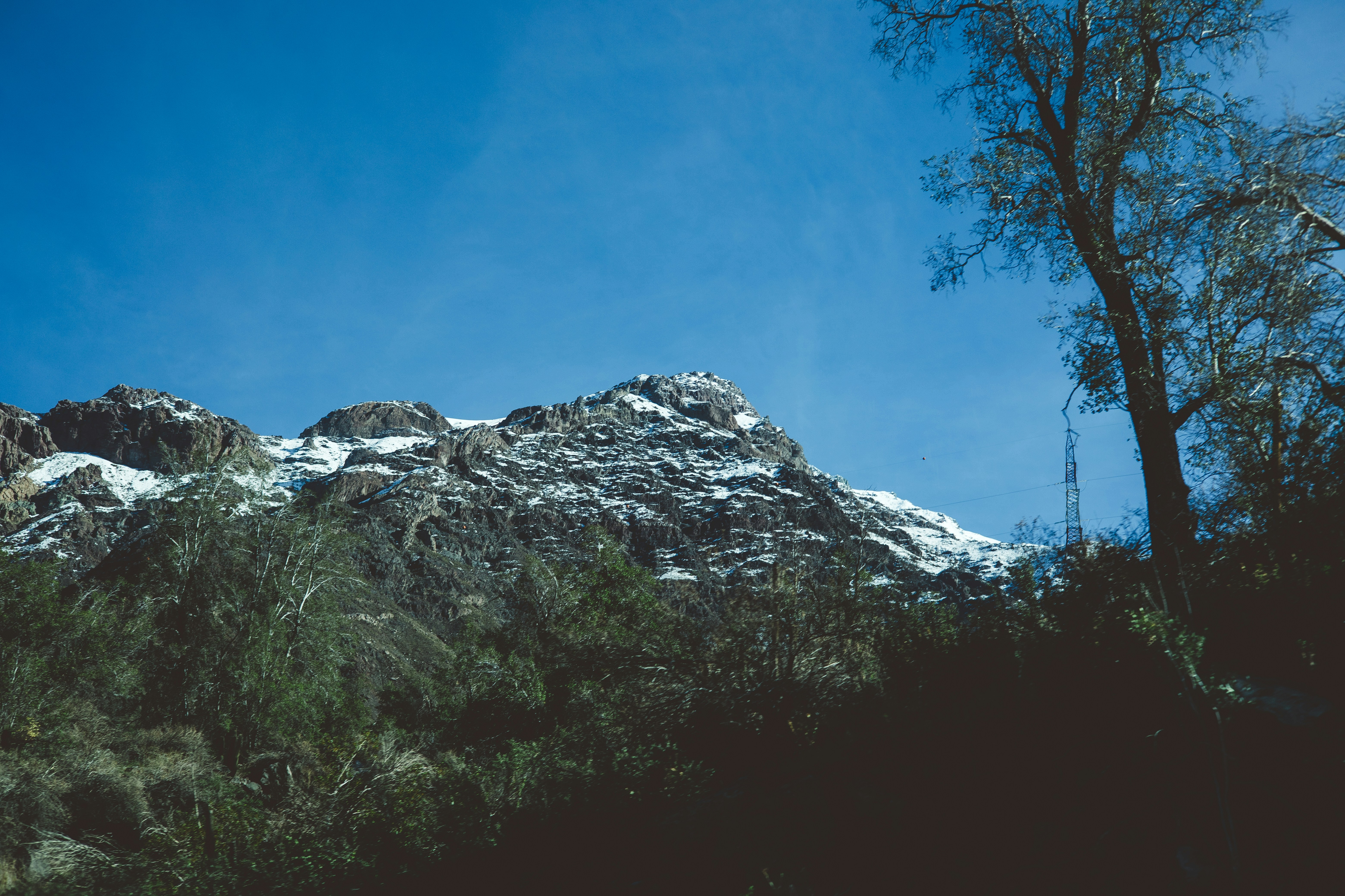 Photo by Rafael Rodrigues with Canon EOS RP