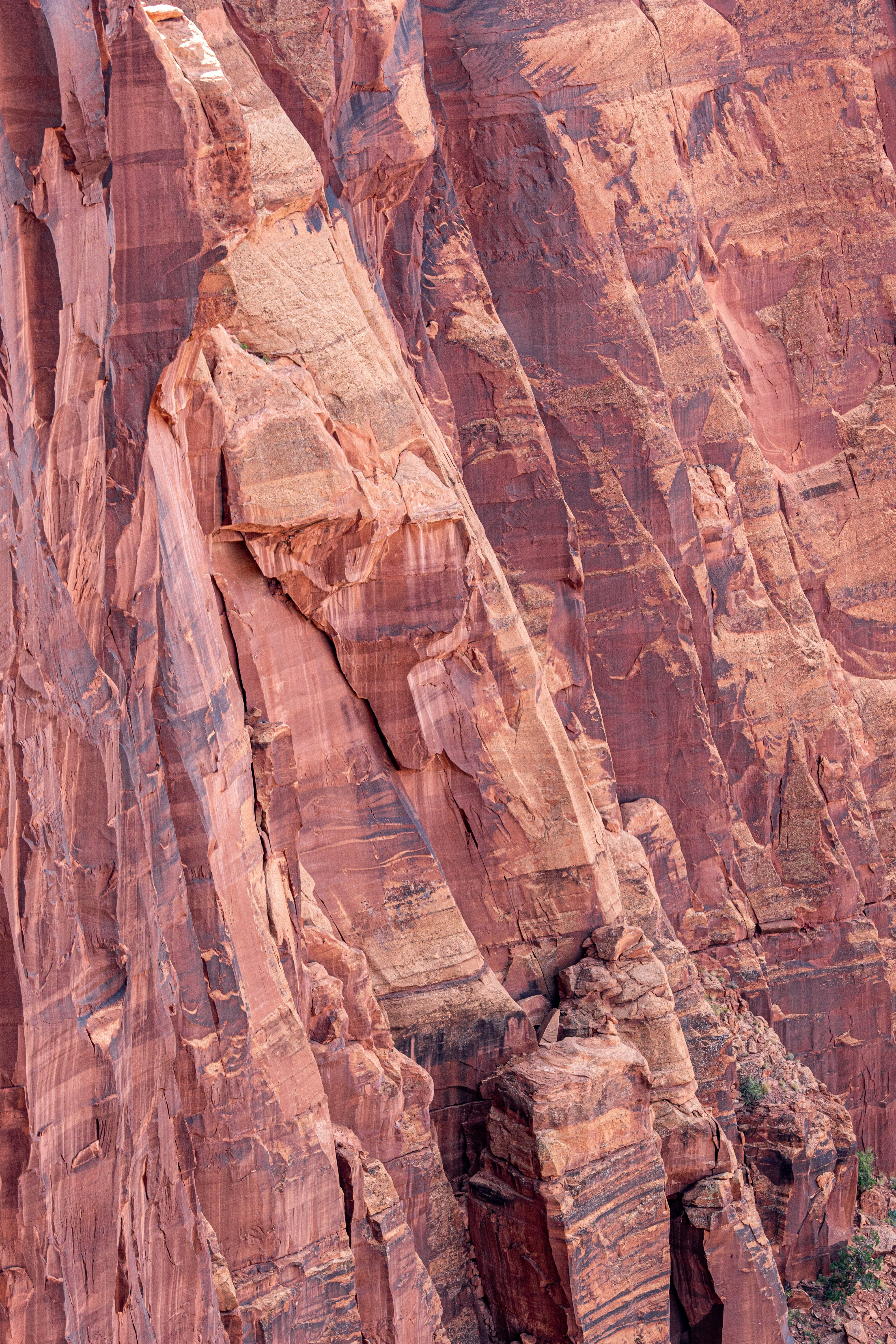 Photo by Achim Ruhnau with Sony Alpha 77 II