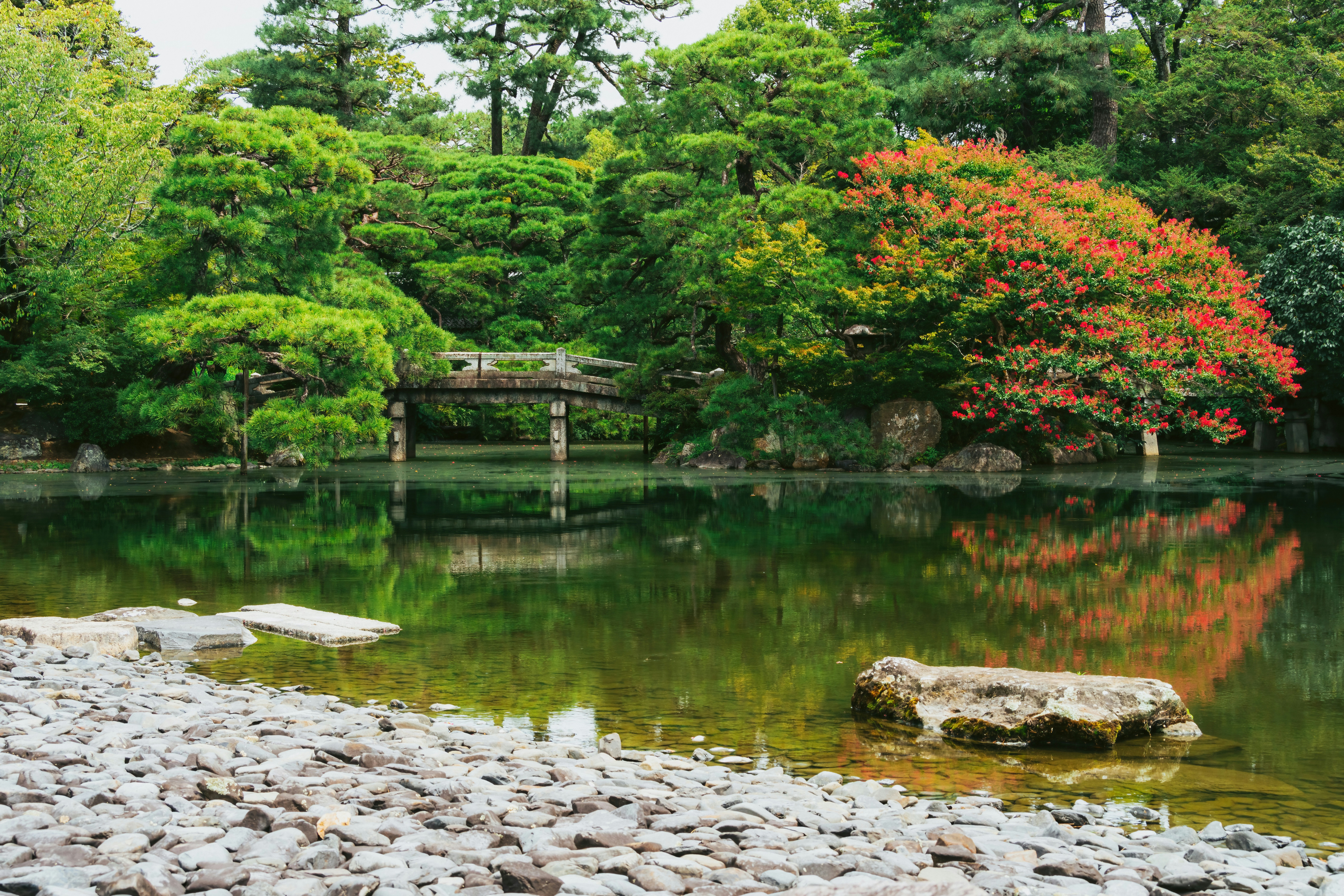A pond surrounded by trees and rocks in a park photo – Free Kyoto Image ...