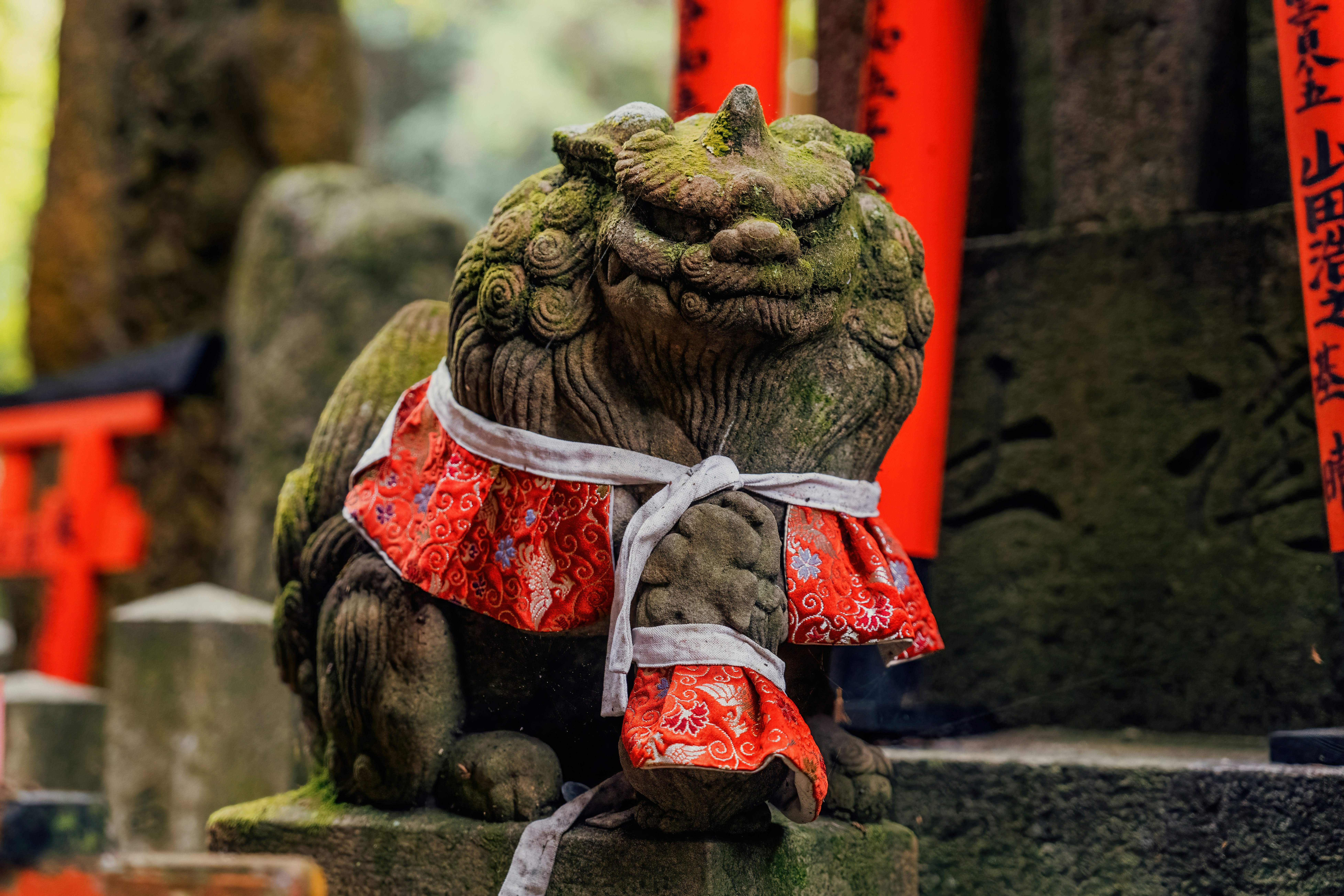 Photo by Pourya Gohari with Sony Alpha 7R V