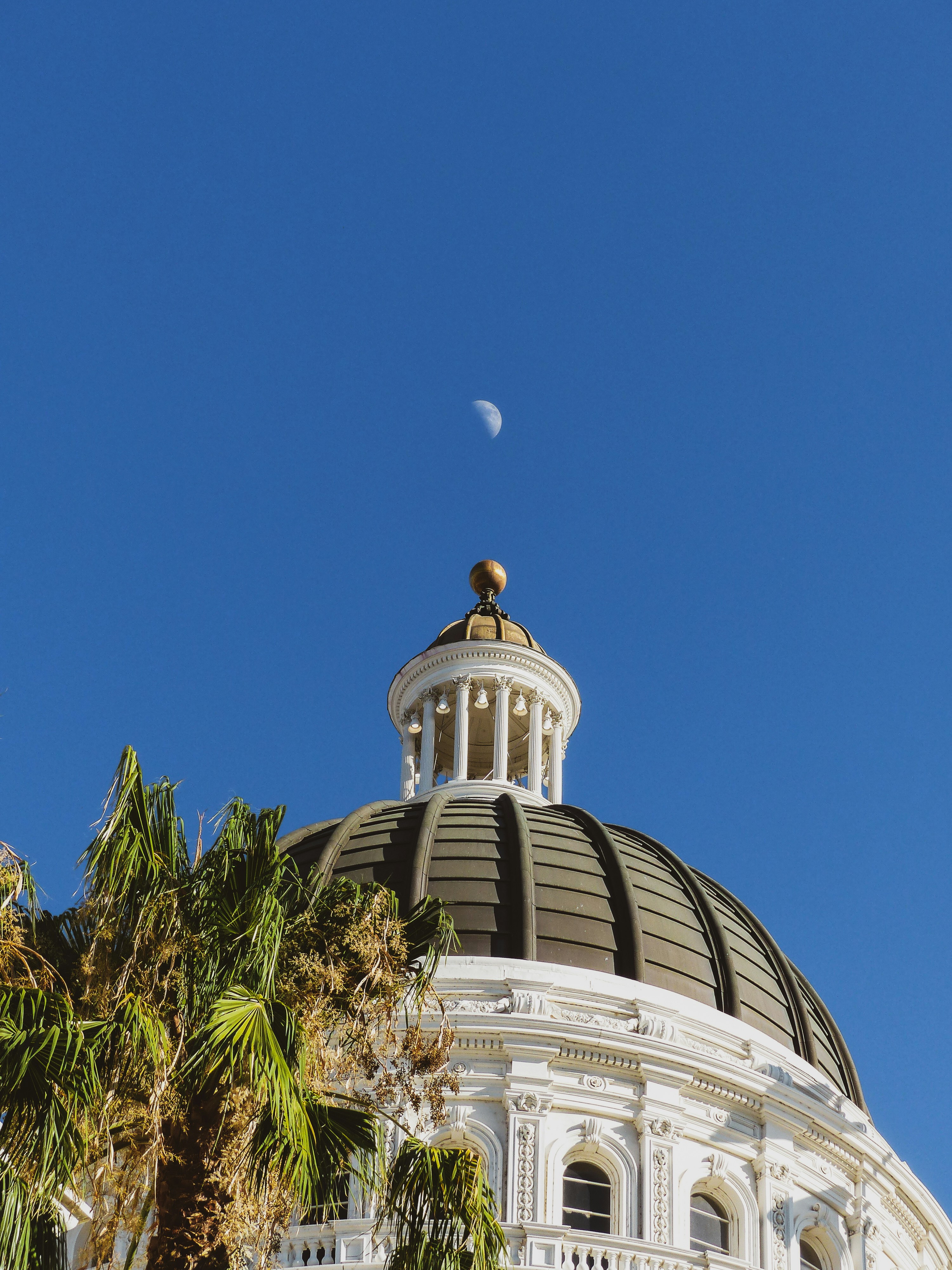 Moonlit Dome Harmony