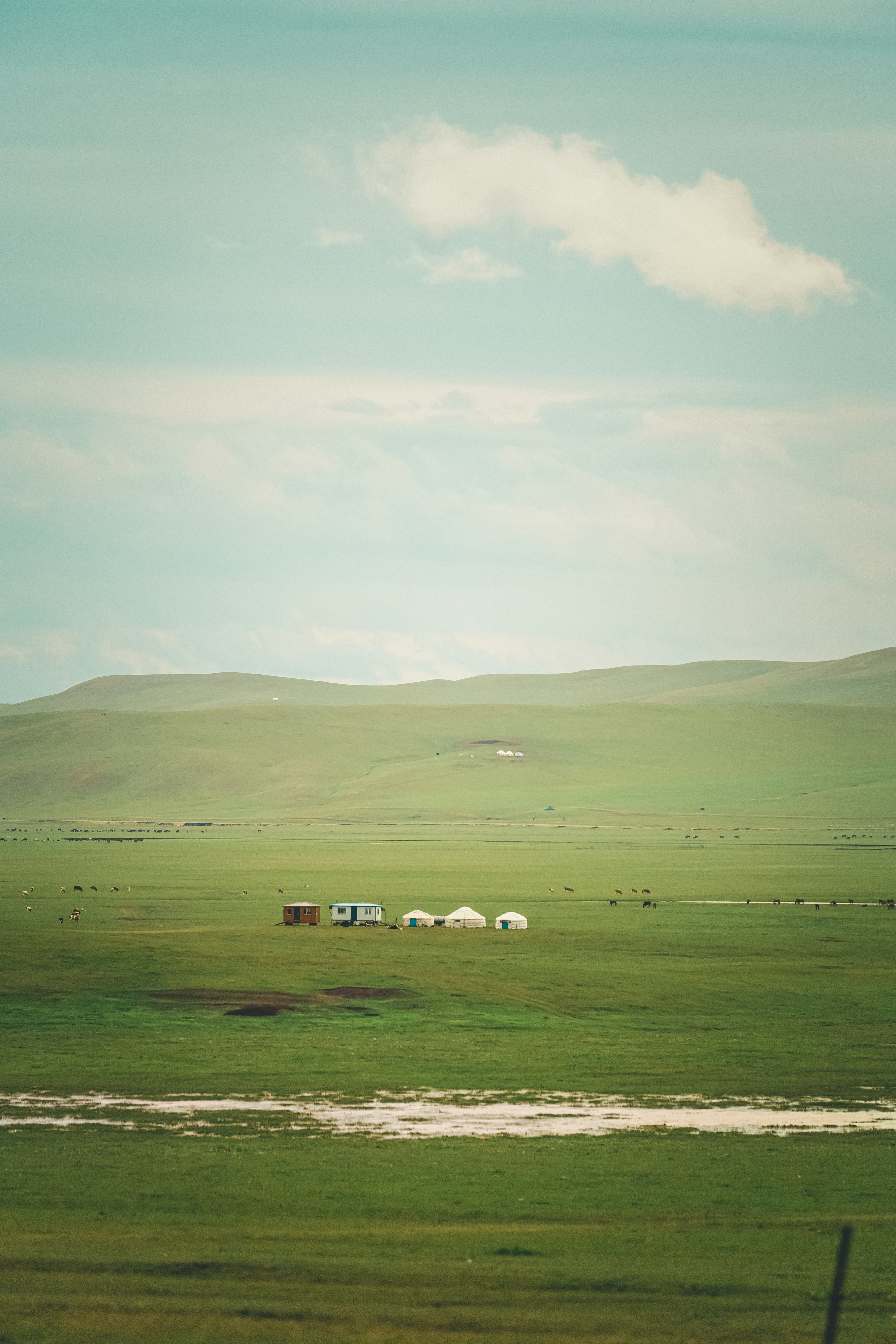 A green field with a small stream running through it photo – Free ...