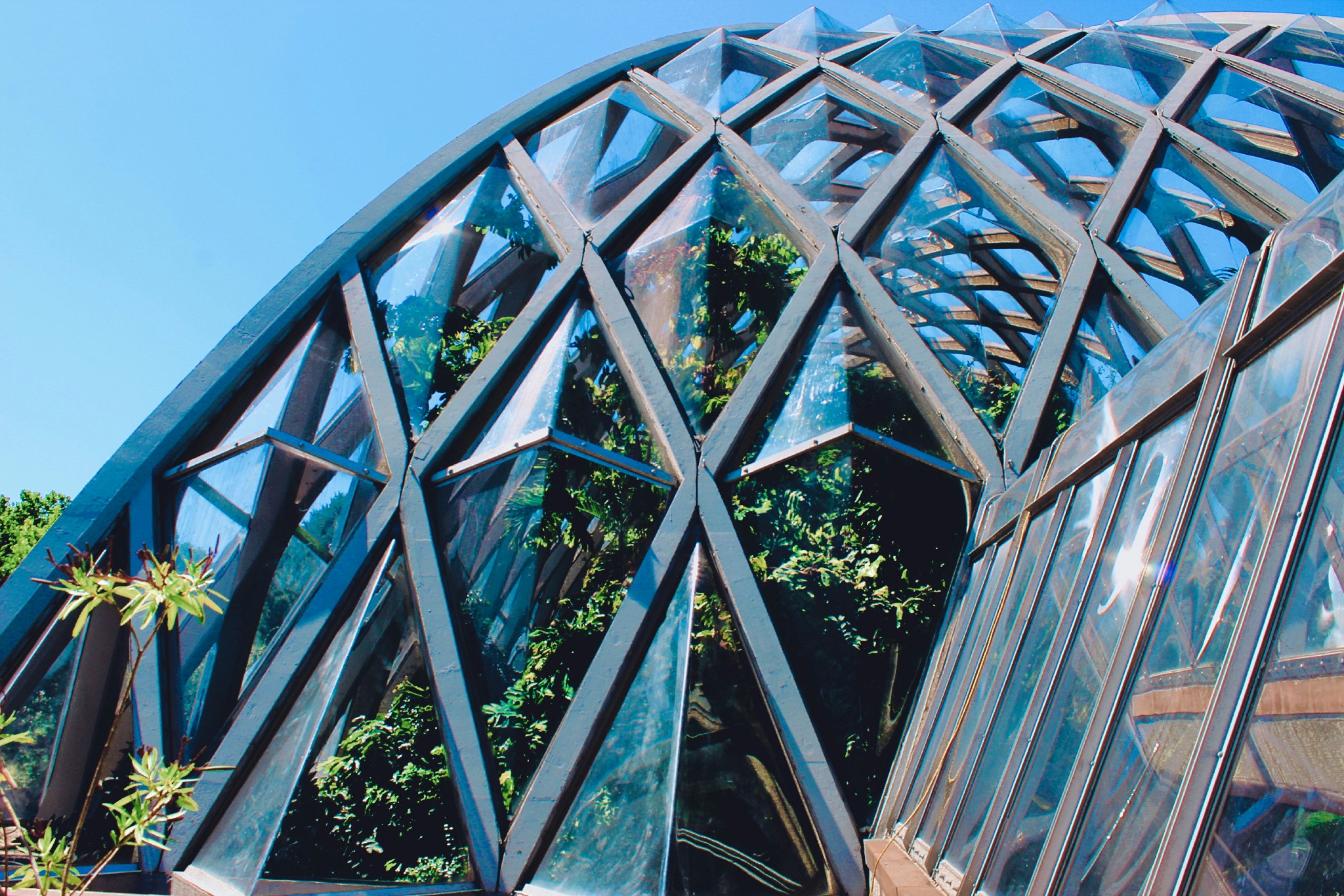 A large metal structure with a tree growing inside of it photo – Free ...