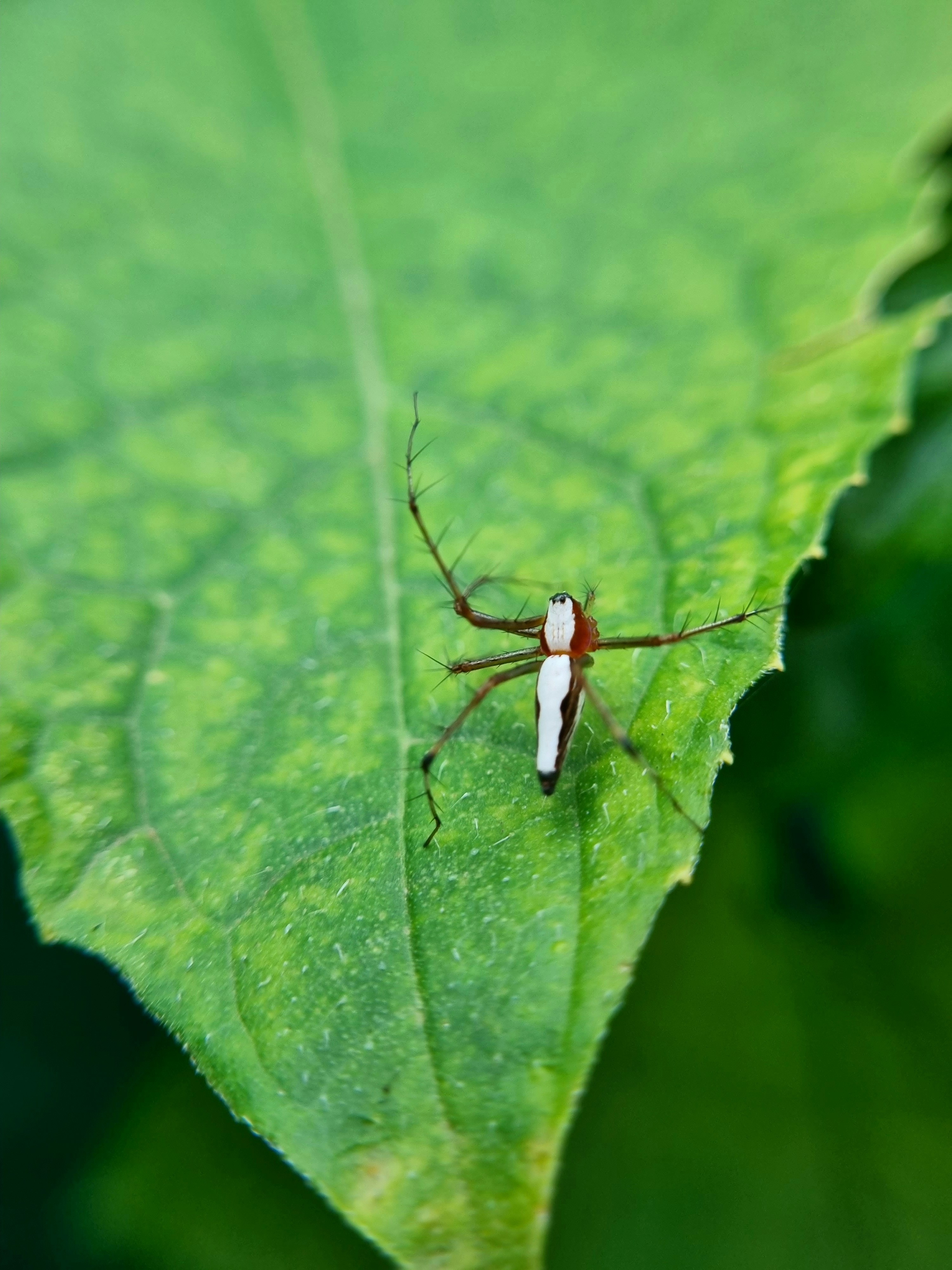 George Clinton (@clinton_iam) | Komunitas Foto Unsplash