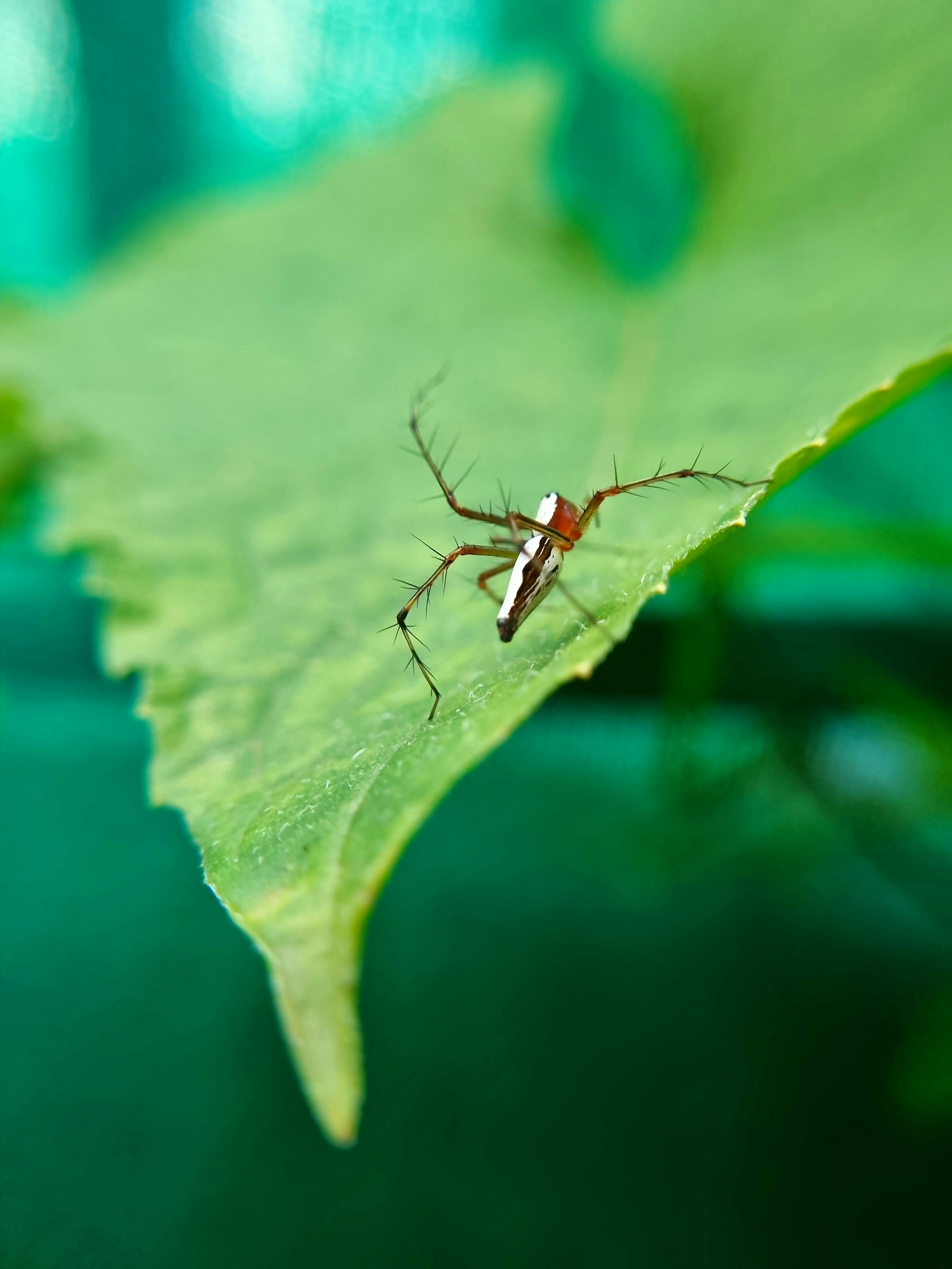 George Clinton (@clinton_iam) | Komunitas Foto Unsplash