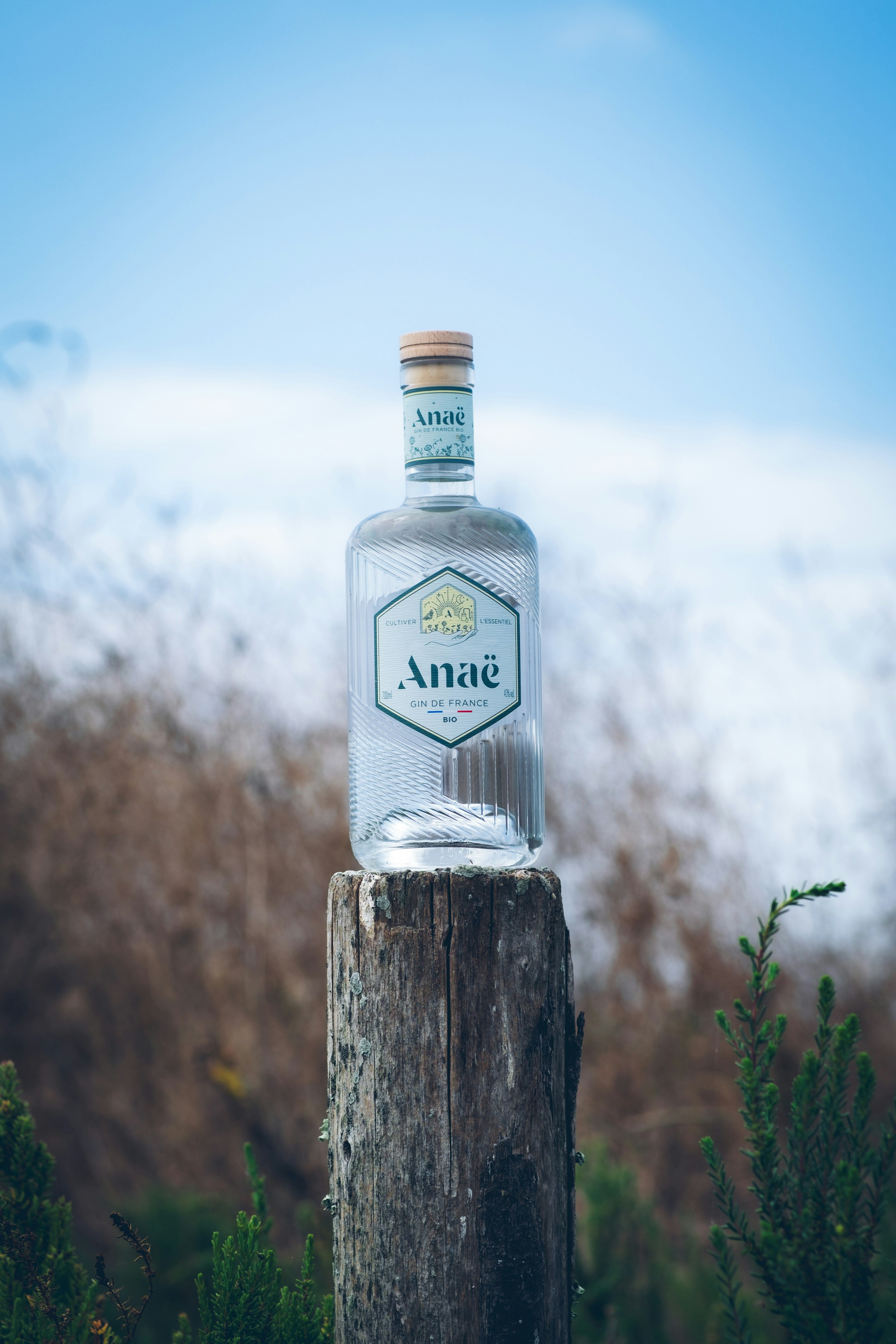 a bottle of water sitting on top of a wooden post