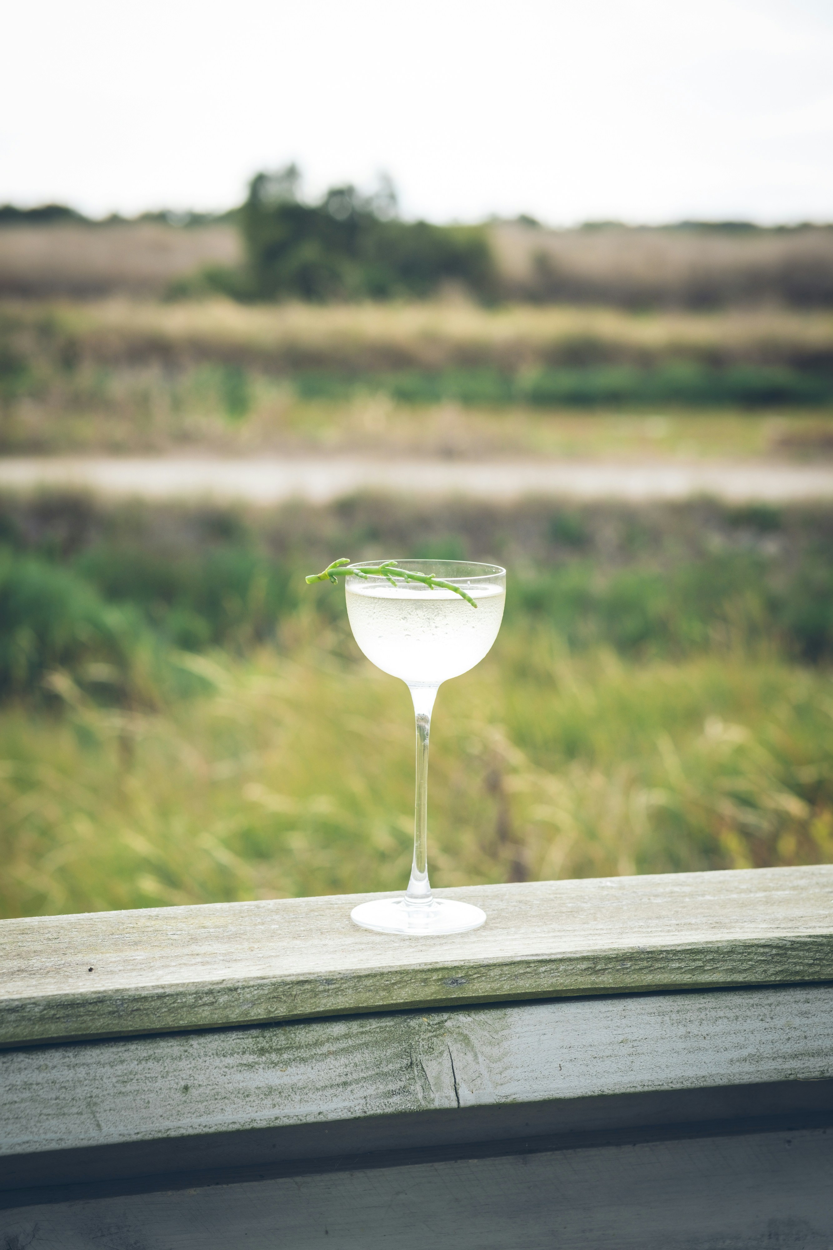 Gentle Toast on Weathered Wood: A Glass in Focus