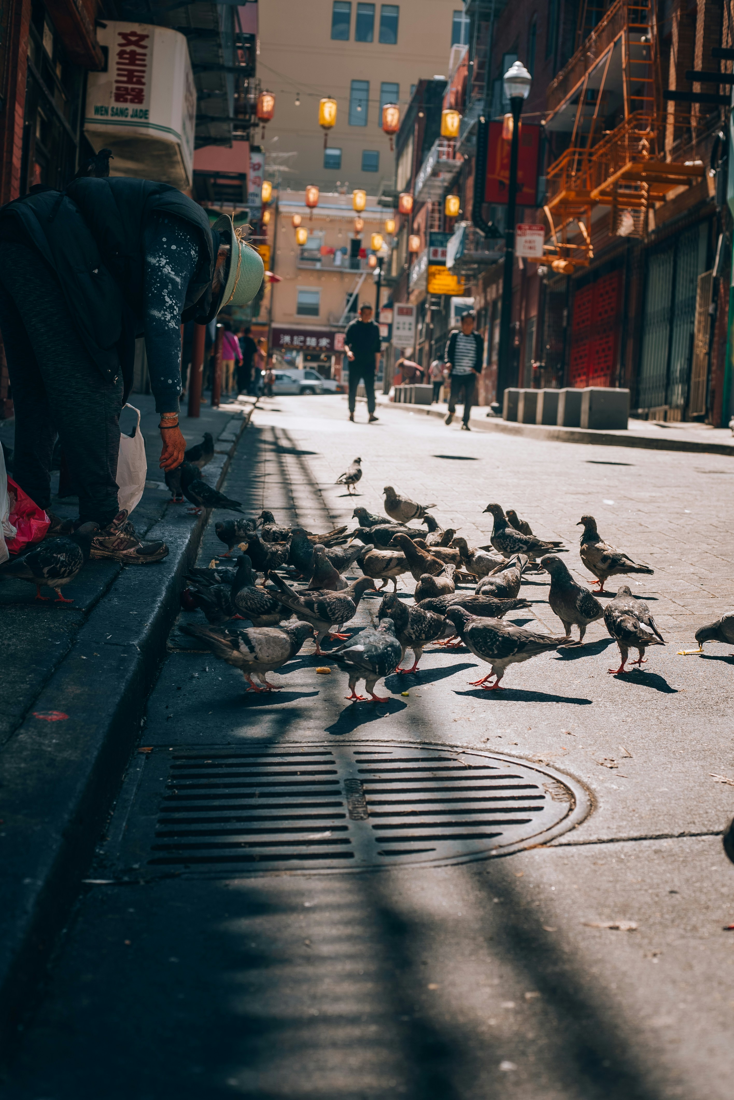 a bunch of birds that are standing in the street