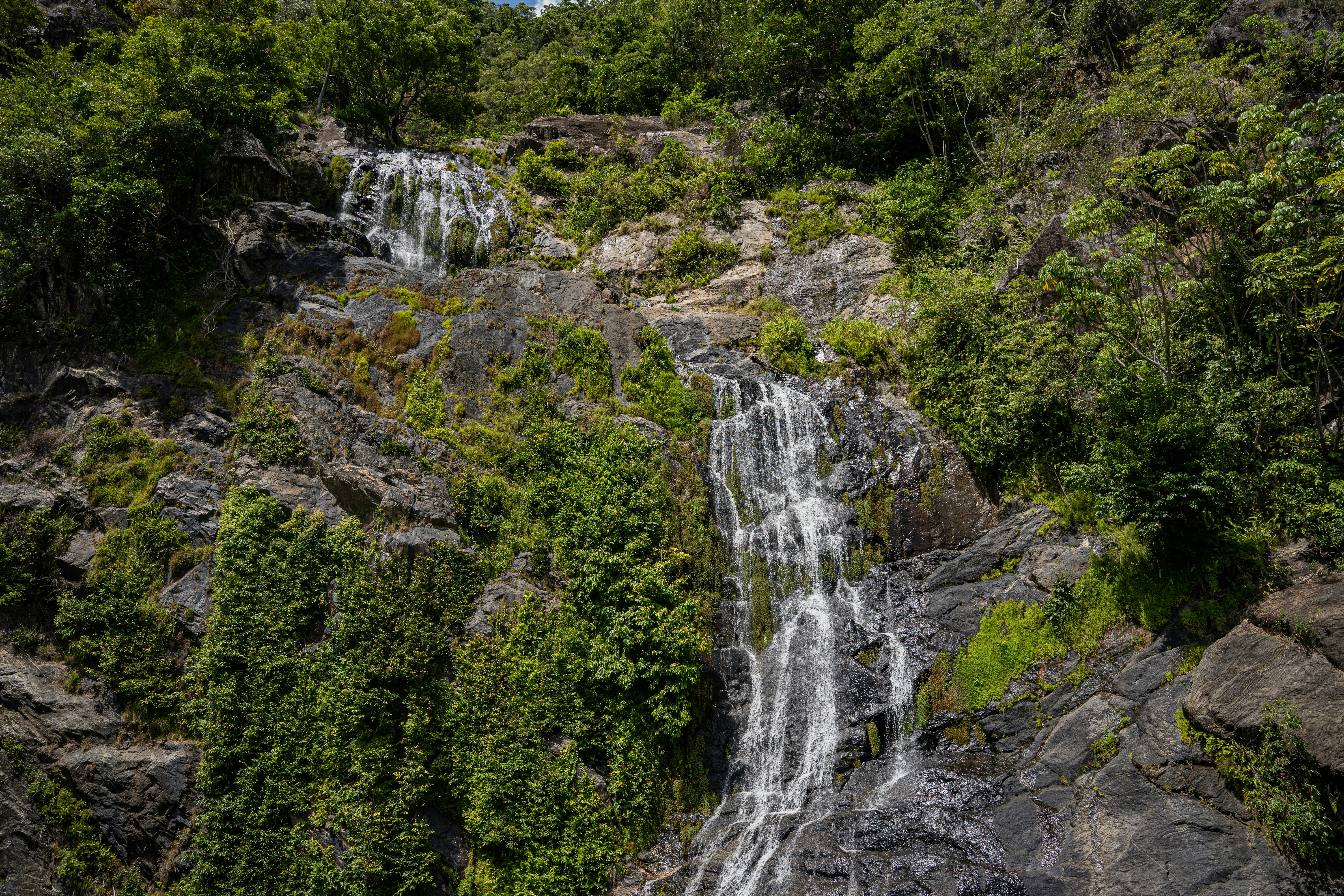 A waterfall in the middle of a lush green forest photo – Free Cairns ...